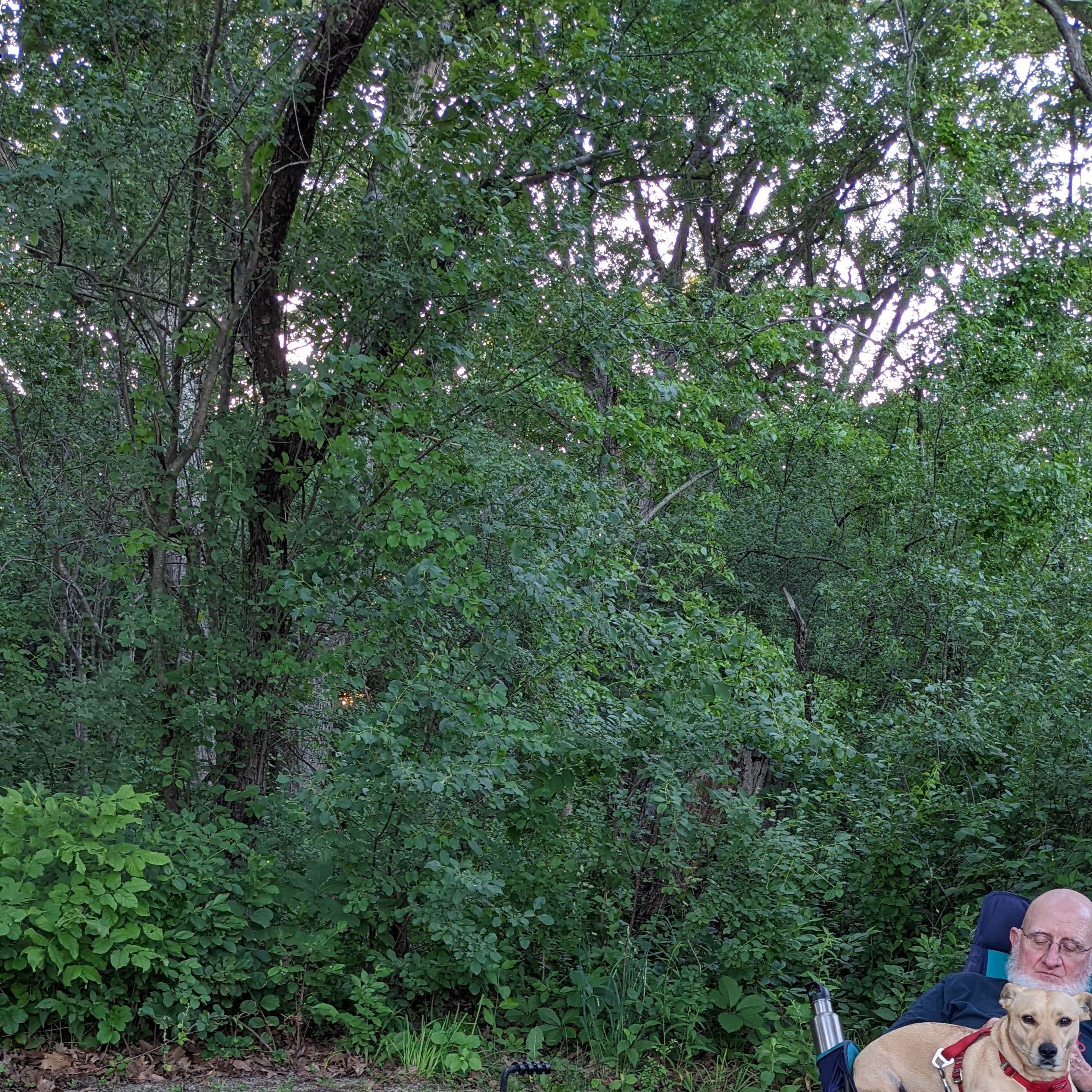 Camp Sullivan | Oak Forest, Illinois