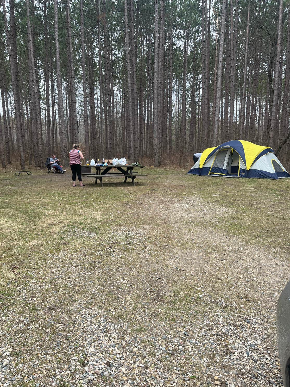 Carrieville State Forest Campground Camping | The Dyrt