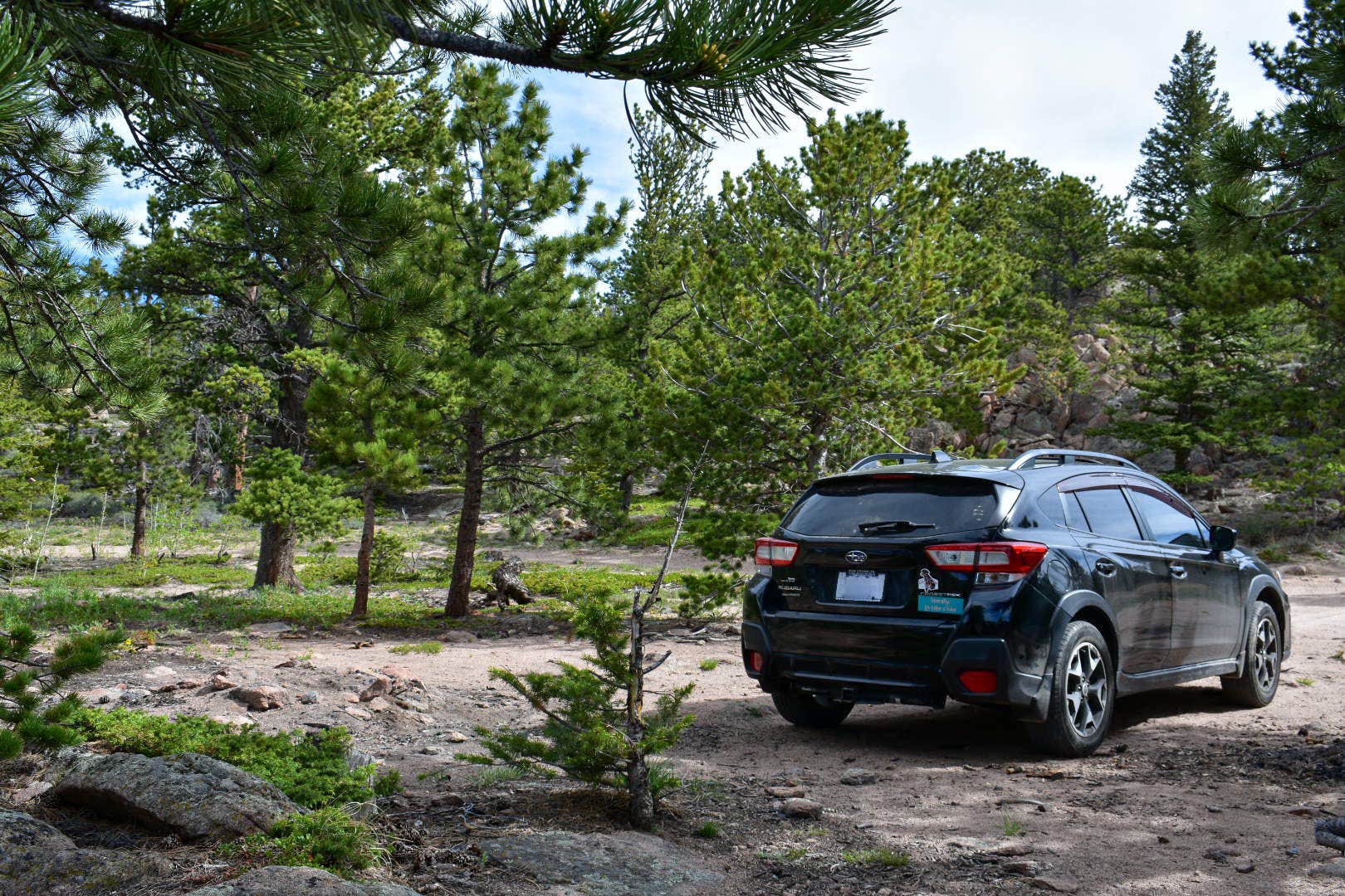 Allenspark Dispersed Camp Spot | Pinewood Springs, Colorado