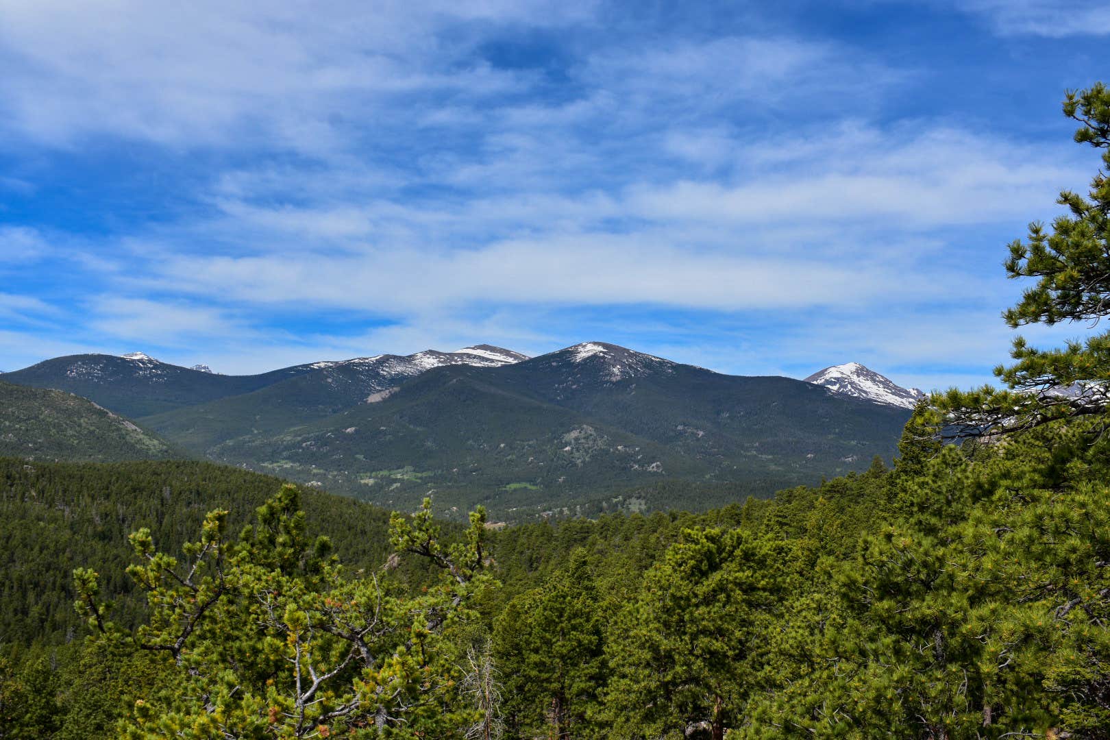 Allenspark Dispersed Camp Spot Camping | The Dyrt