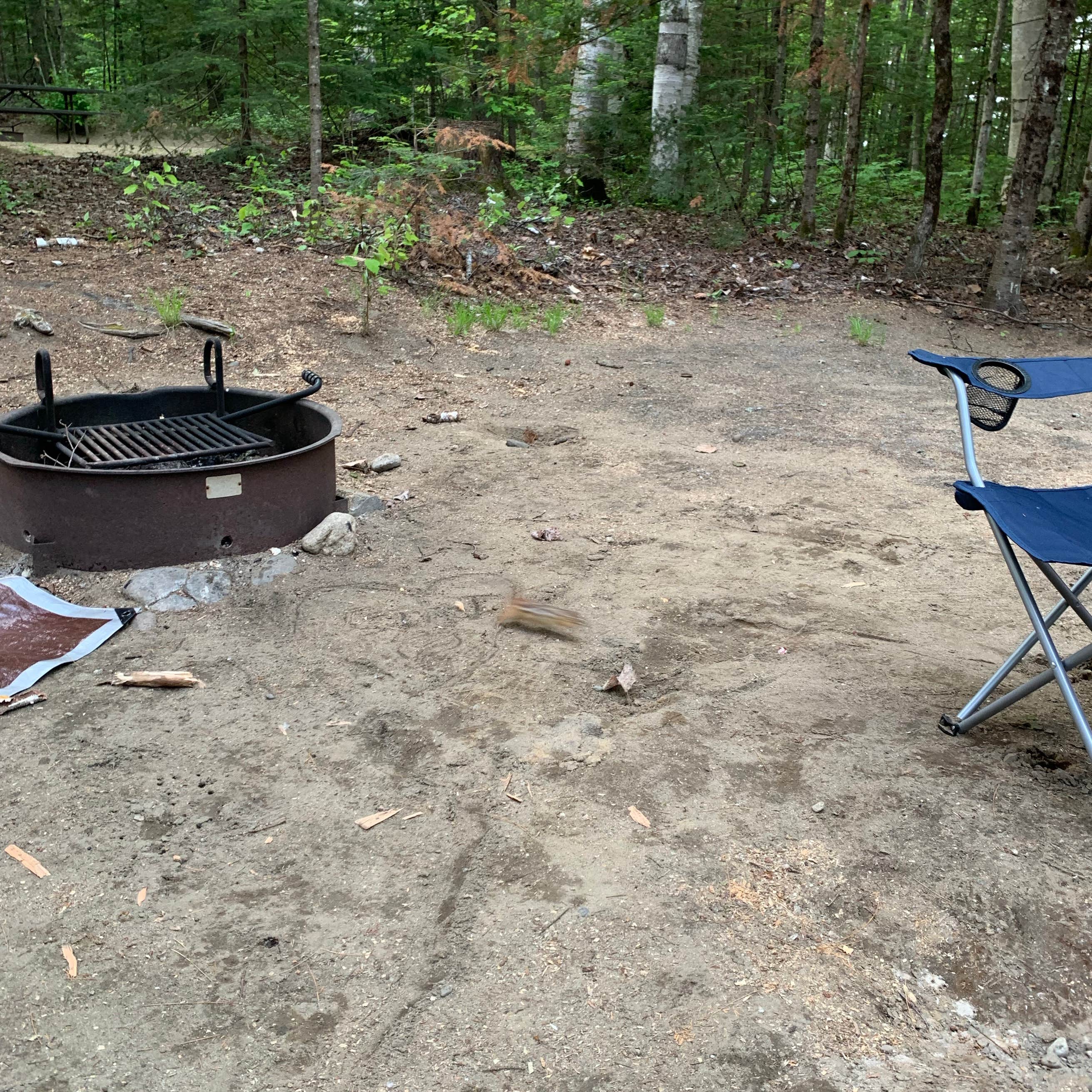 Brighton State Park Campground | Island Pond, Vermont