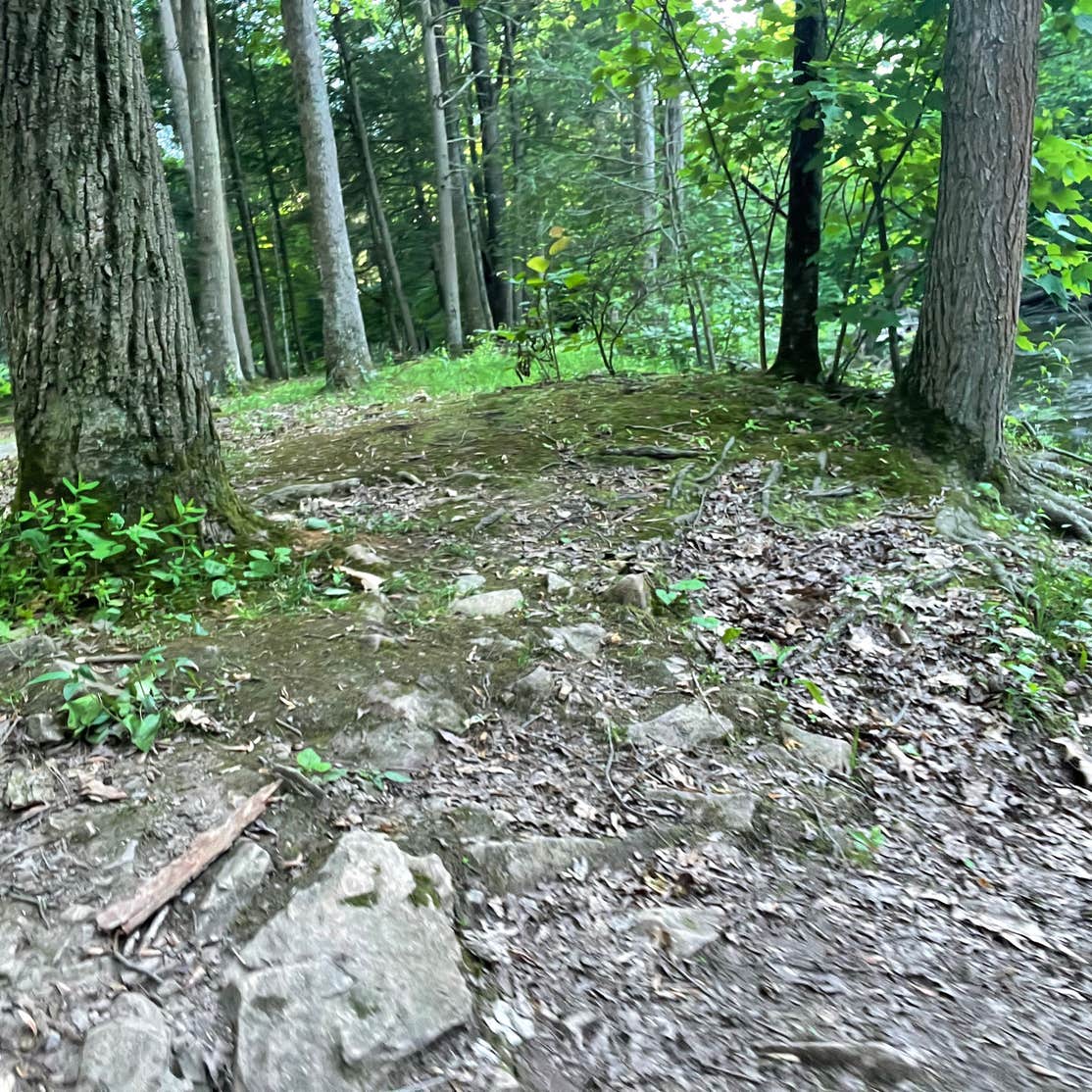 Camp Hebron | Halifax, Pennsylvania