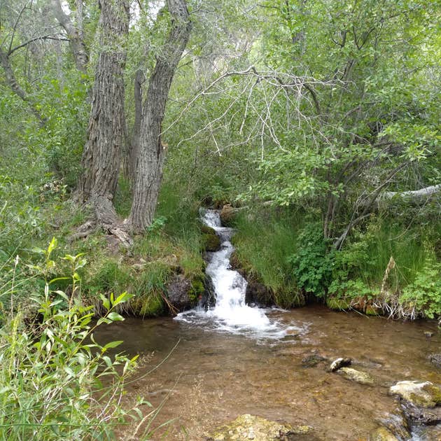 Maple Grove Camping | Scipio, UT | The Dyrt