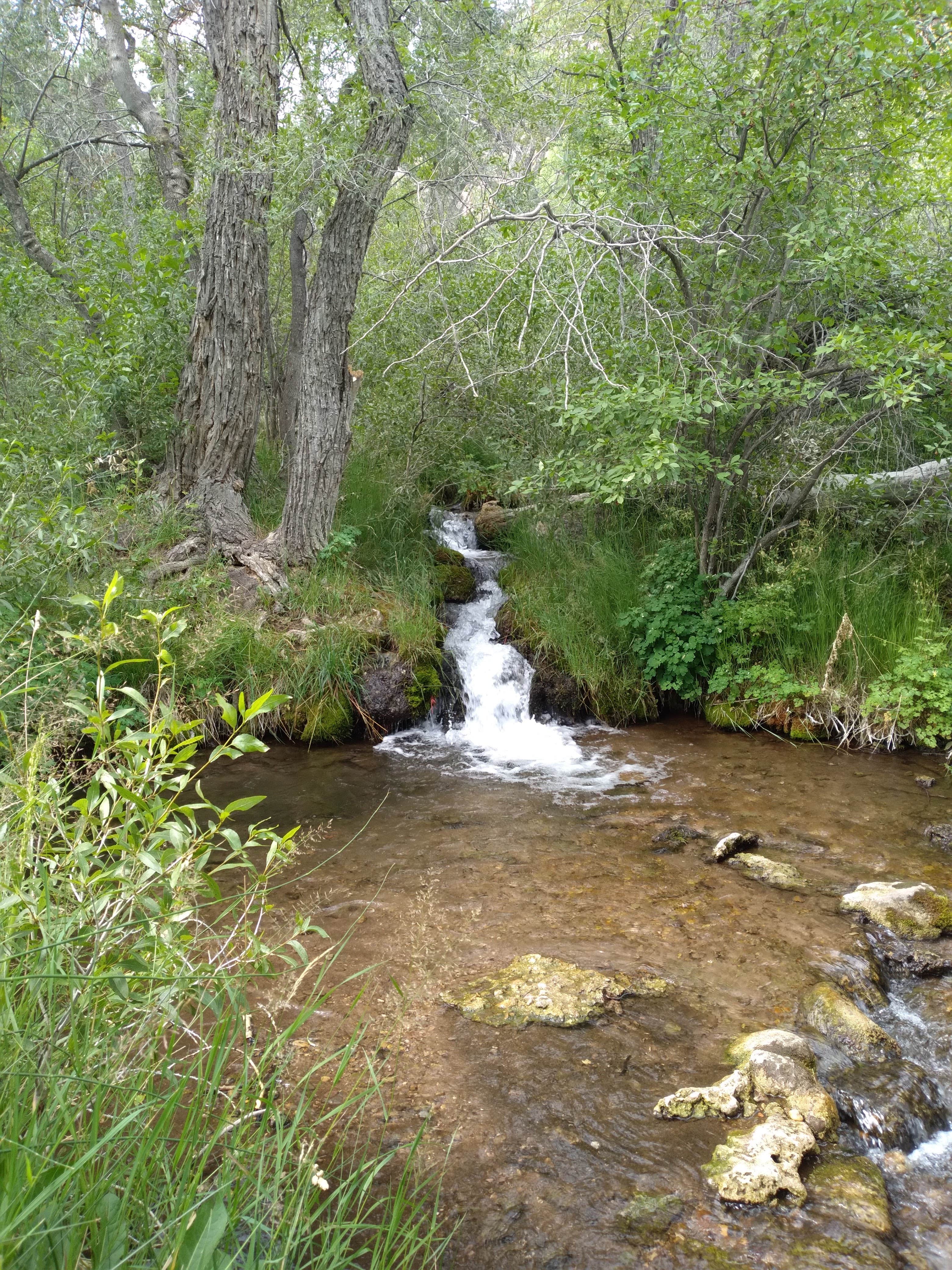 Maple Grove | Fillmore, UT