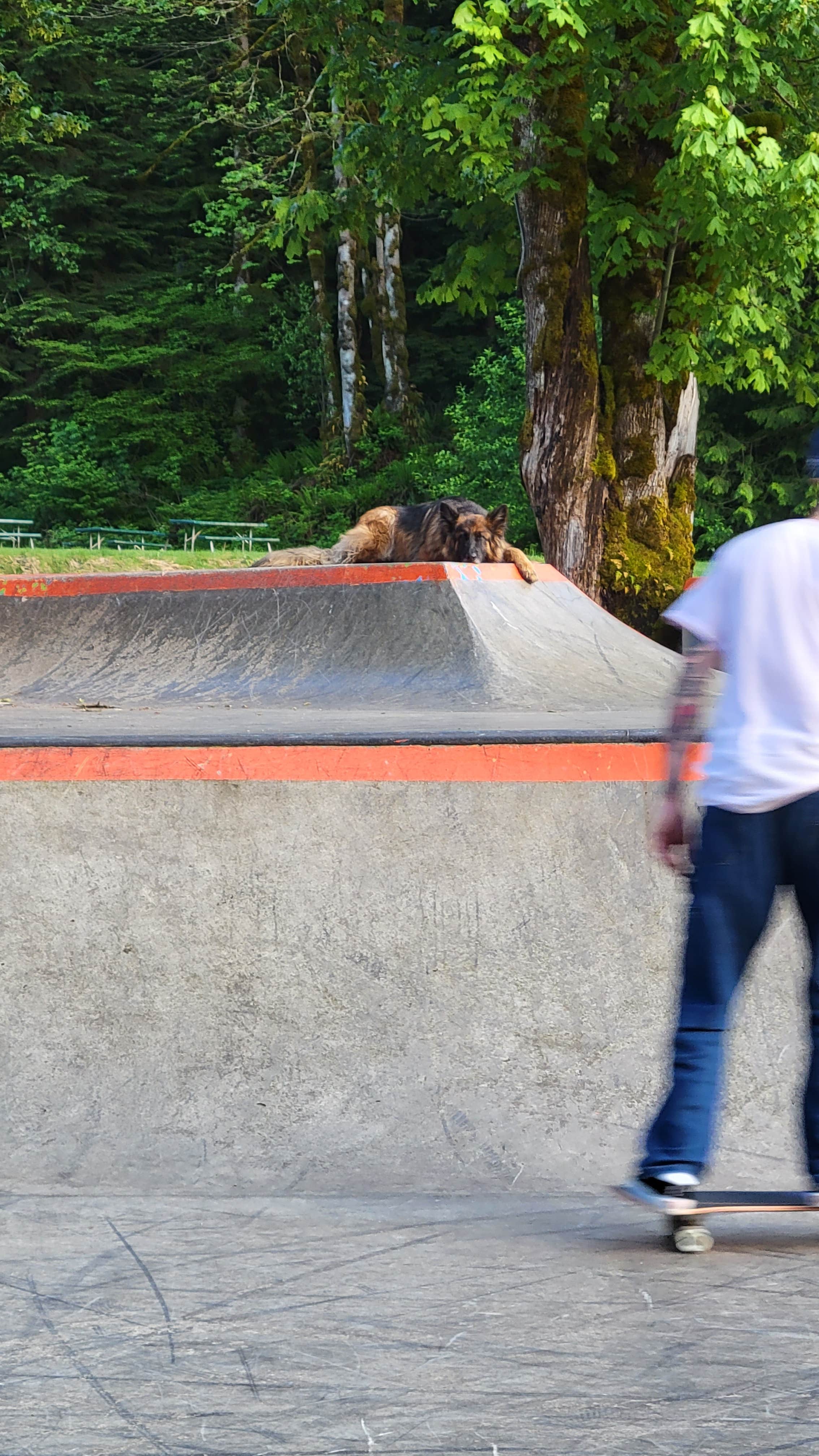 Roamer Sites - Oregon Camping | Brightwood, OR