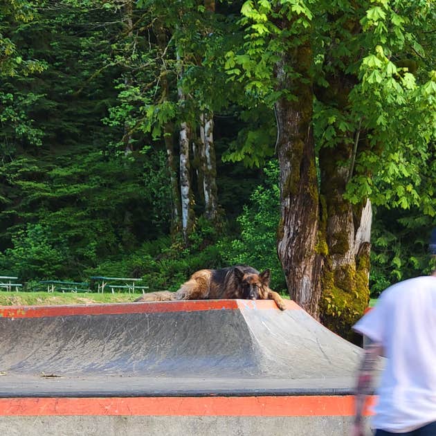 Roamer Sites - Oregon Camping | Brightwood, Oregon