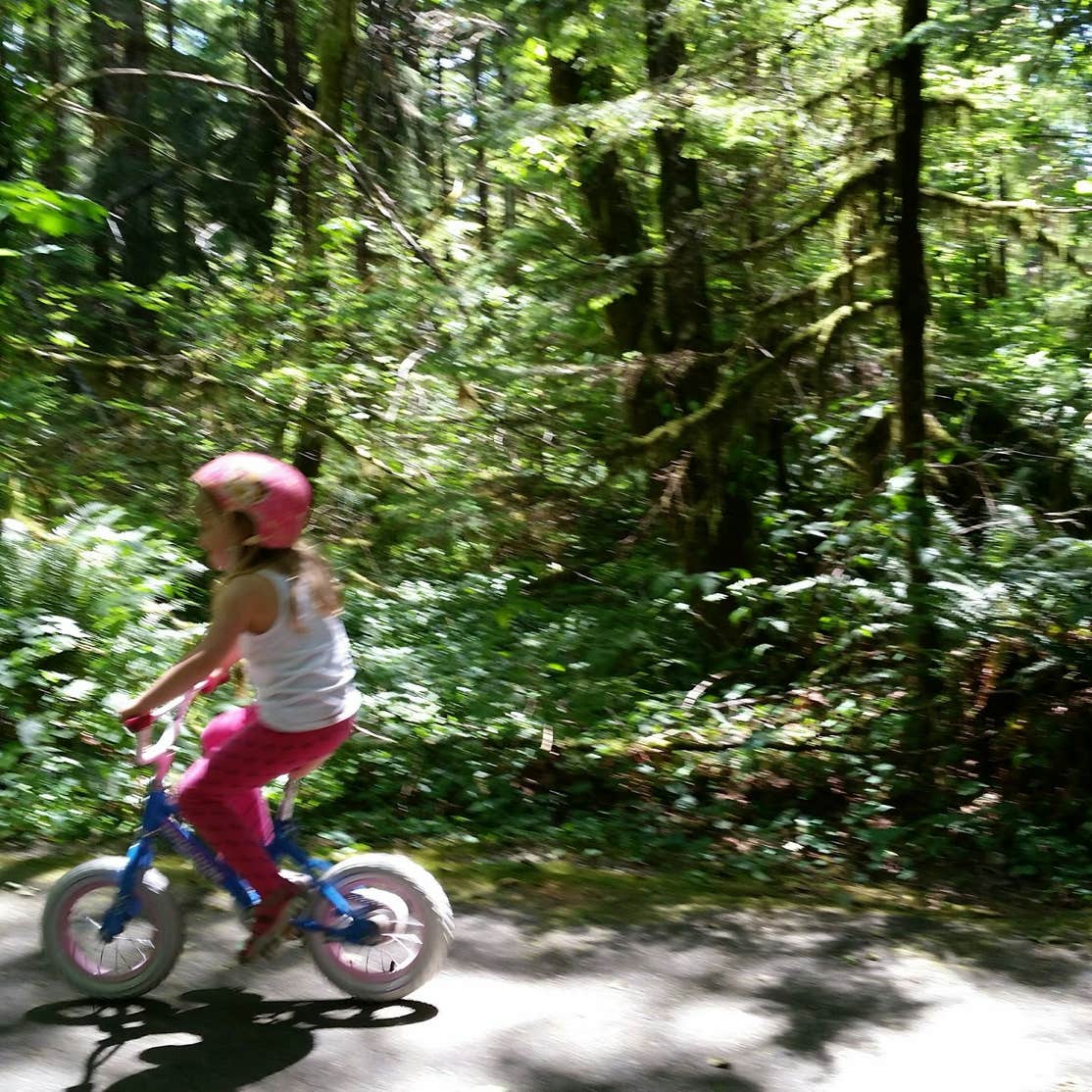 Wynoochee Falls Campground | Olympic National Forest, Washington