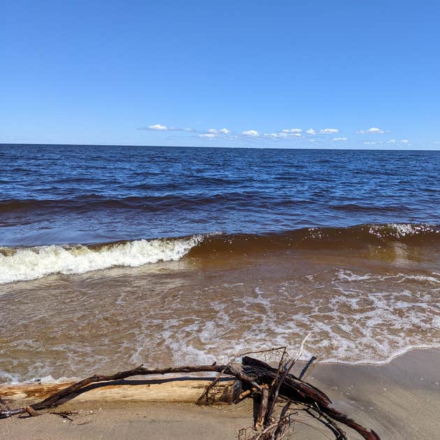 Zippel Bay State Park | Williams, MN
