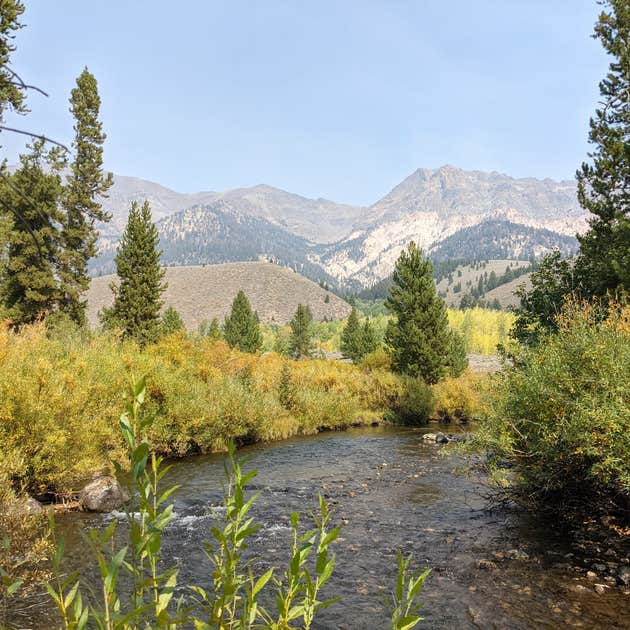 Prairie Creek Camping Camping | The Dyrt