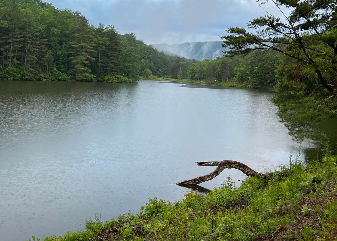Cold Sulphur Spring Campground Camping | Goshen, VA | The Dyrt