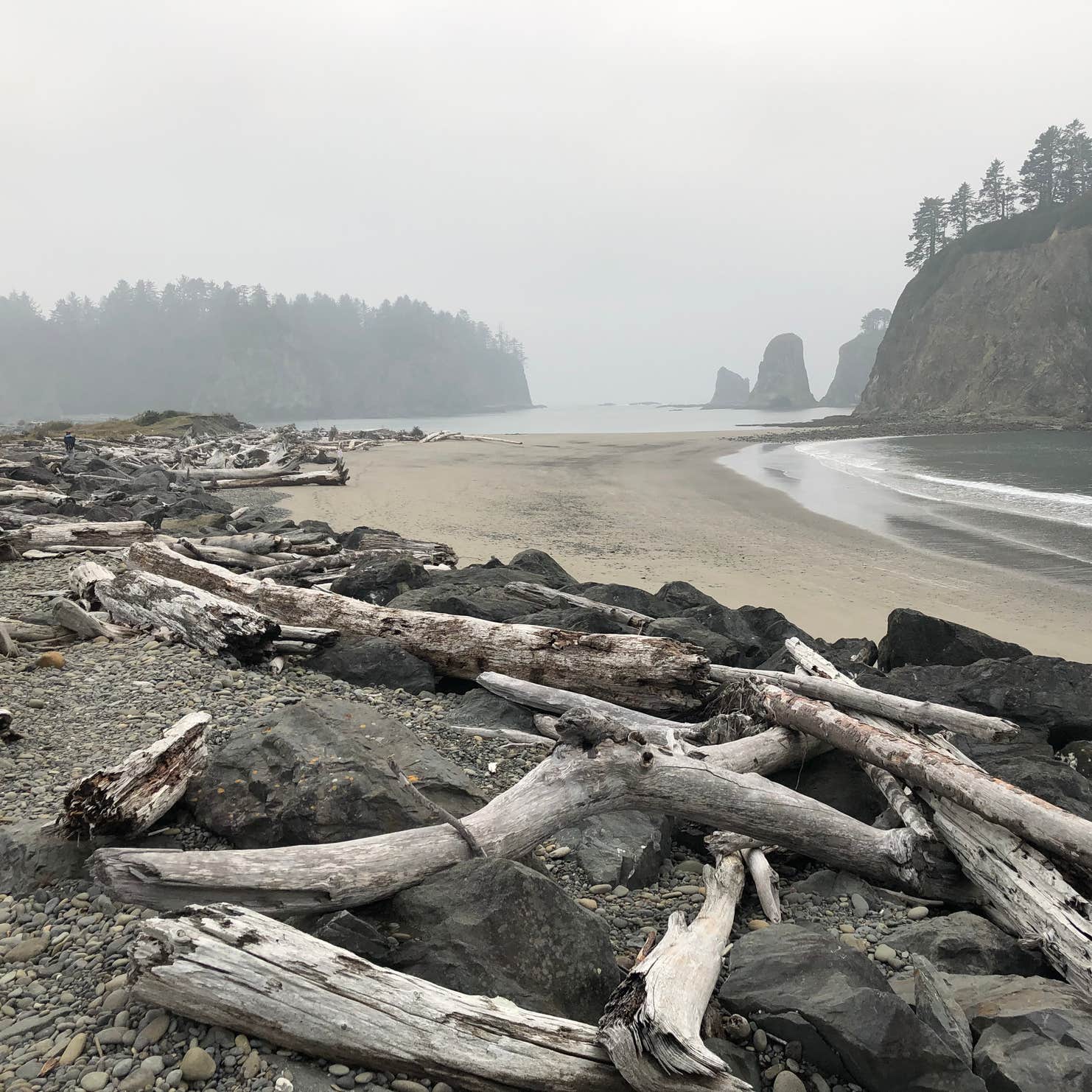 3 Rivers Resort Camping | La Push, Washington