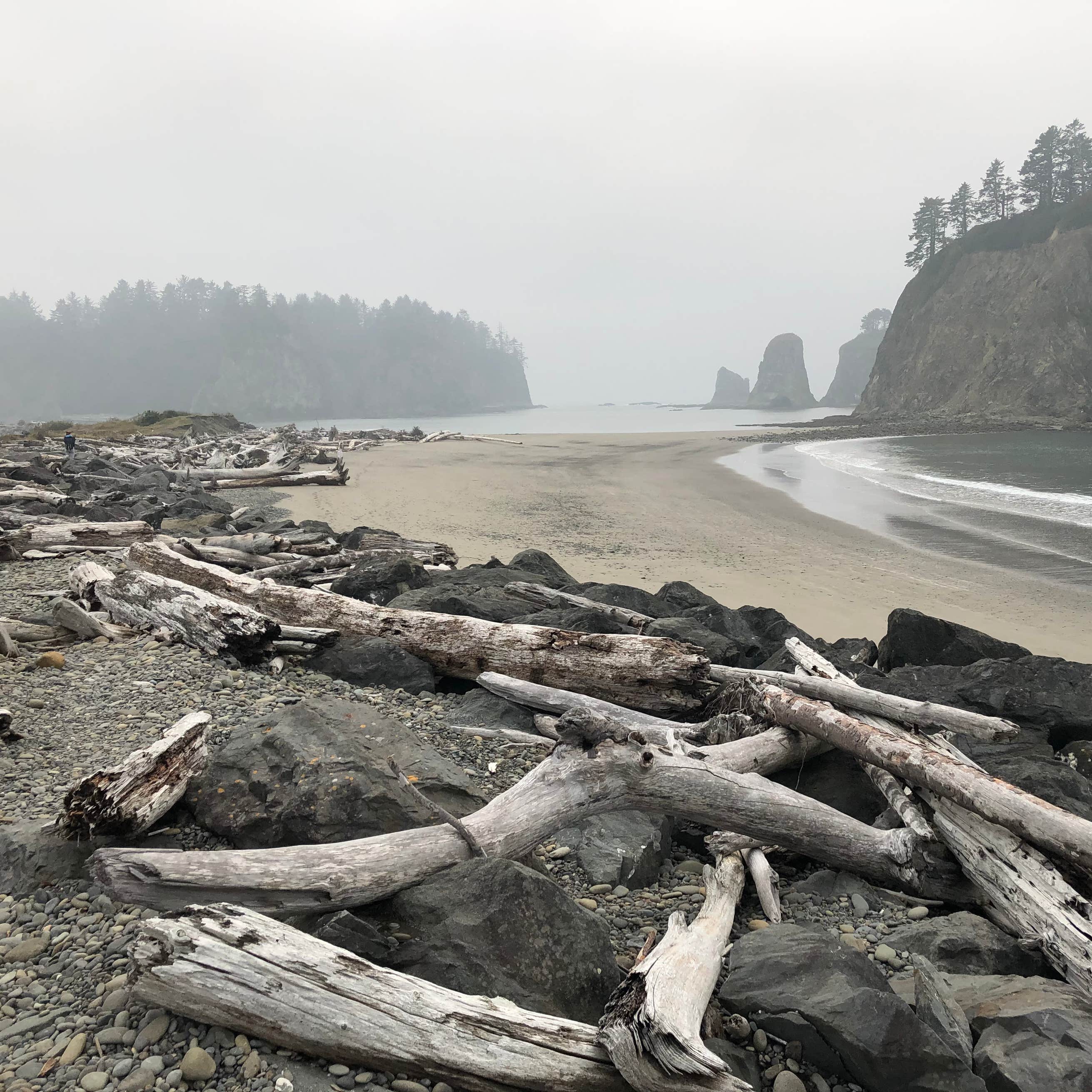 3 Rivers Resort Camping | La Push, Washington