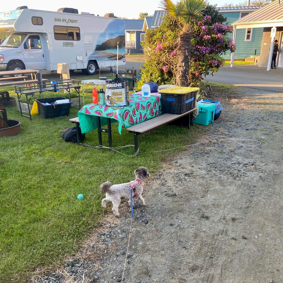 Oceanside Beachfront RV Resort | Coos Bay, Oregon