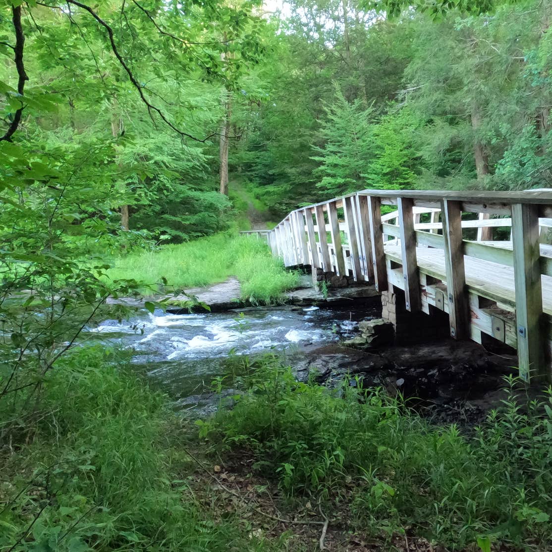 Lower Lake Campground Rhododendron Area — Promised Land State Park ...