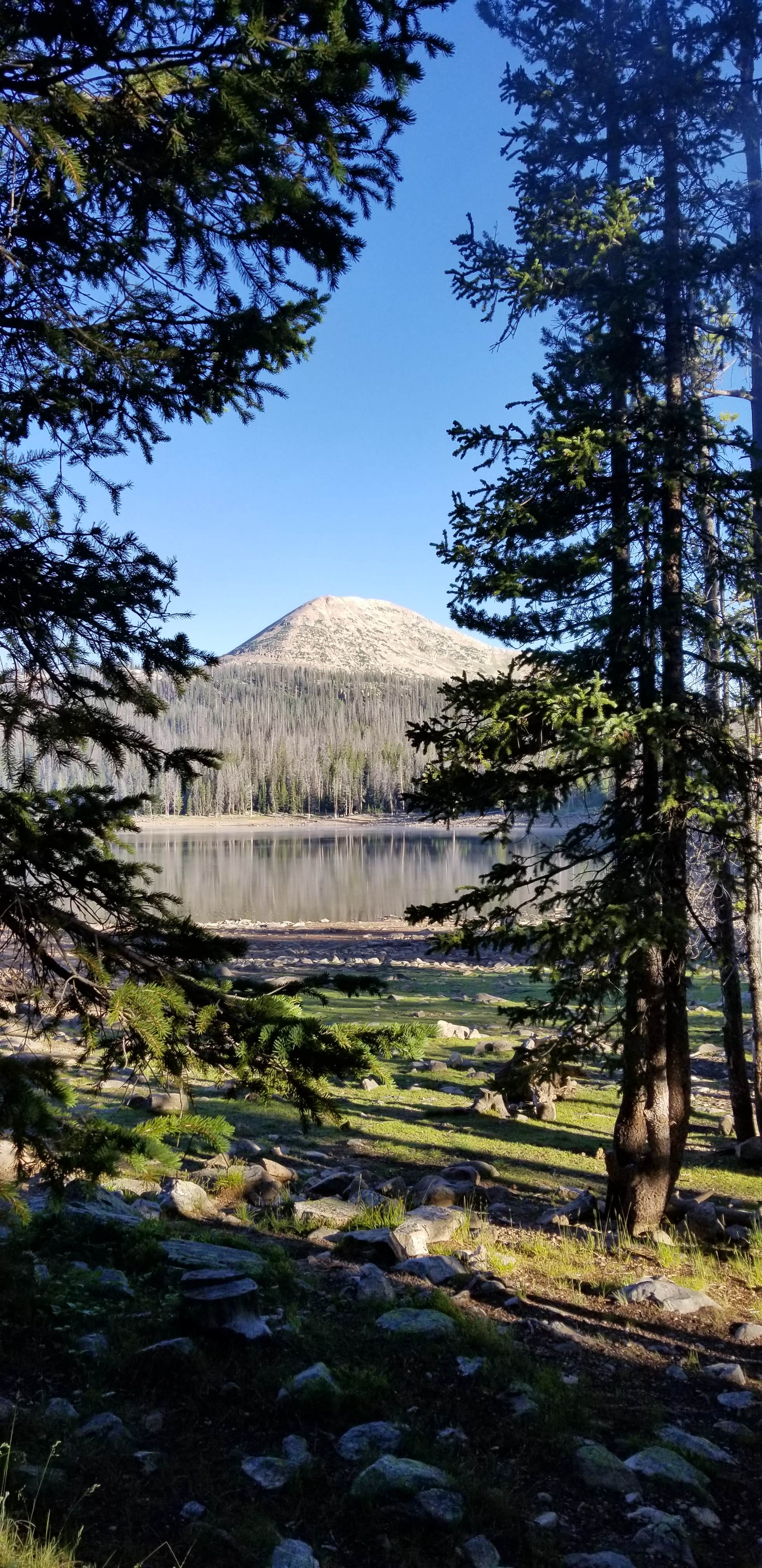 Trial Lake Campground | Kamas, UT