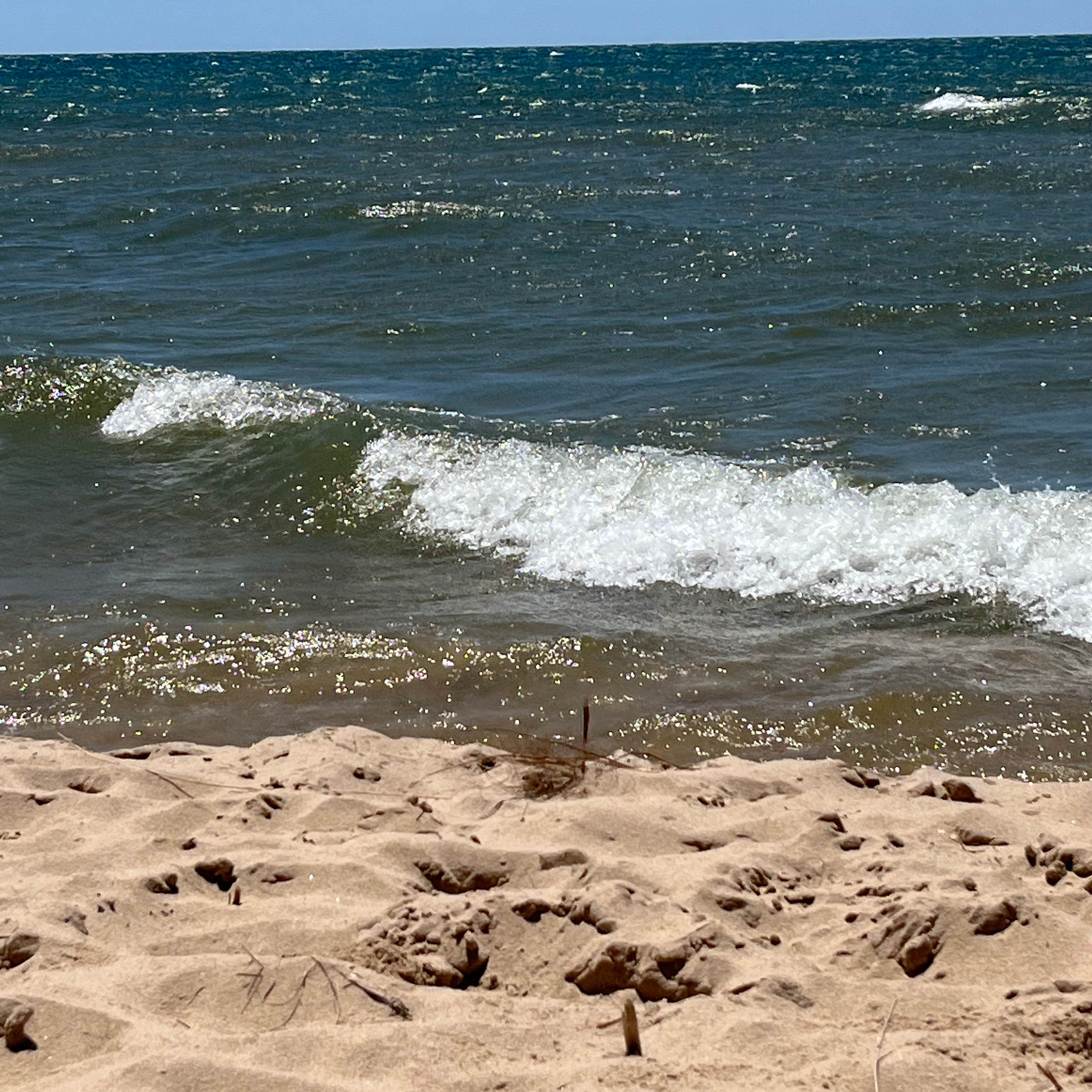 Lake Michigan Campground at Muskegon State Park Camping | The Dyrt