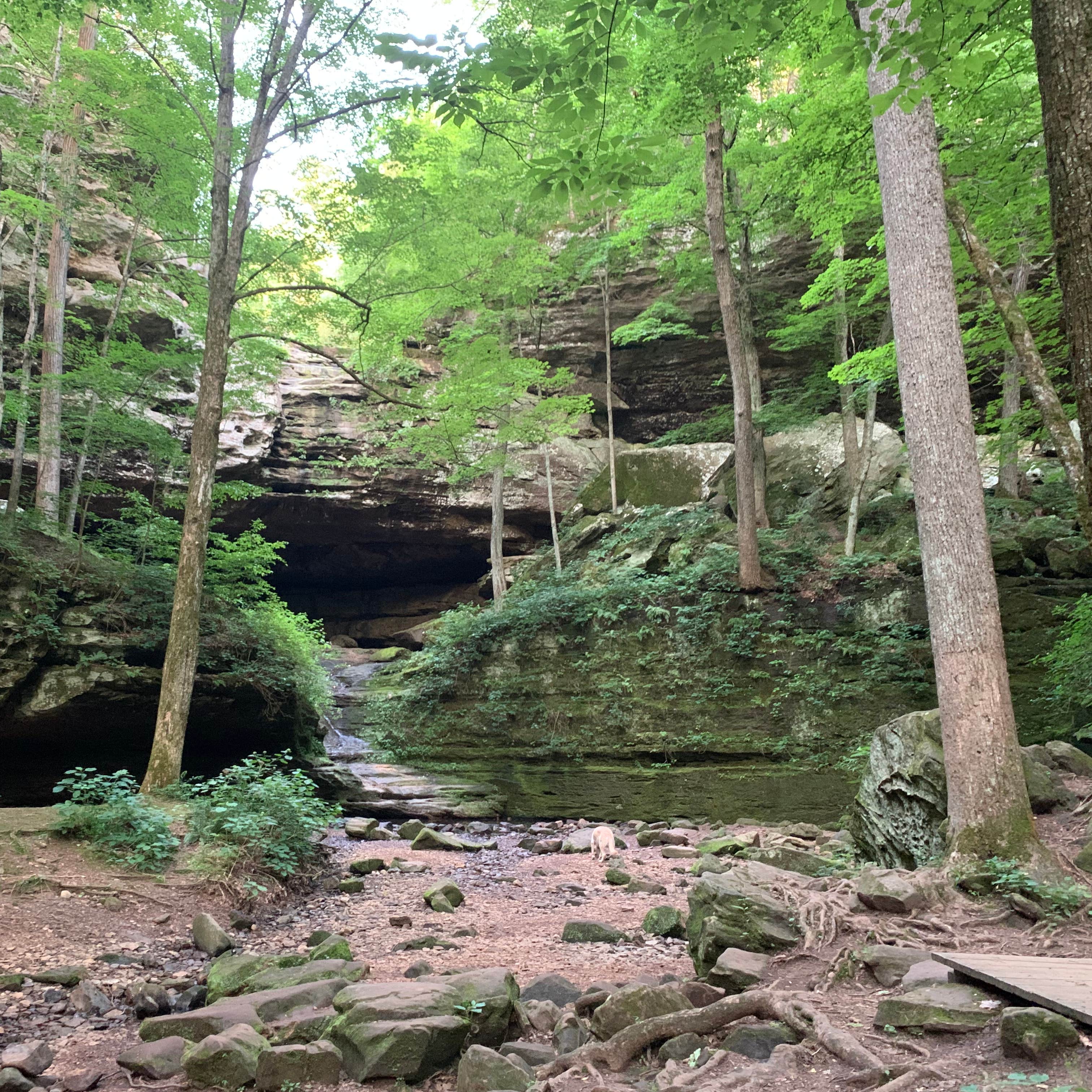 Turkey Ridge Campground — Ferne Clyffe State Park | Goreville, Illinois