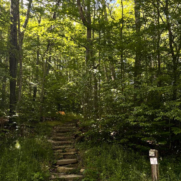 Spruce Knob Lake Campground | Riverton, West Virginia