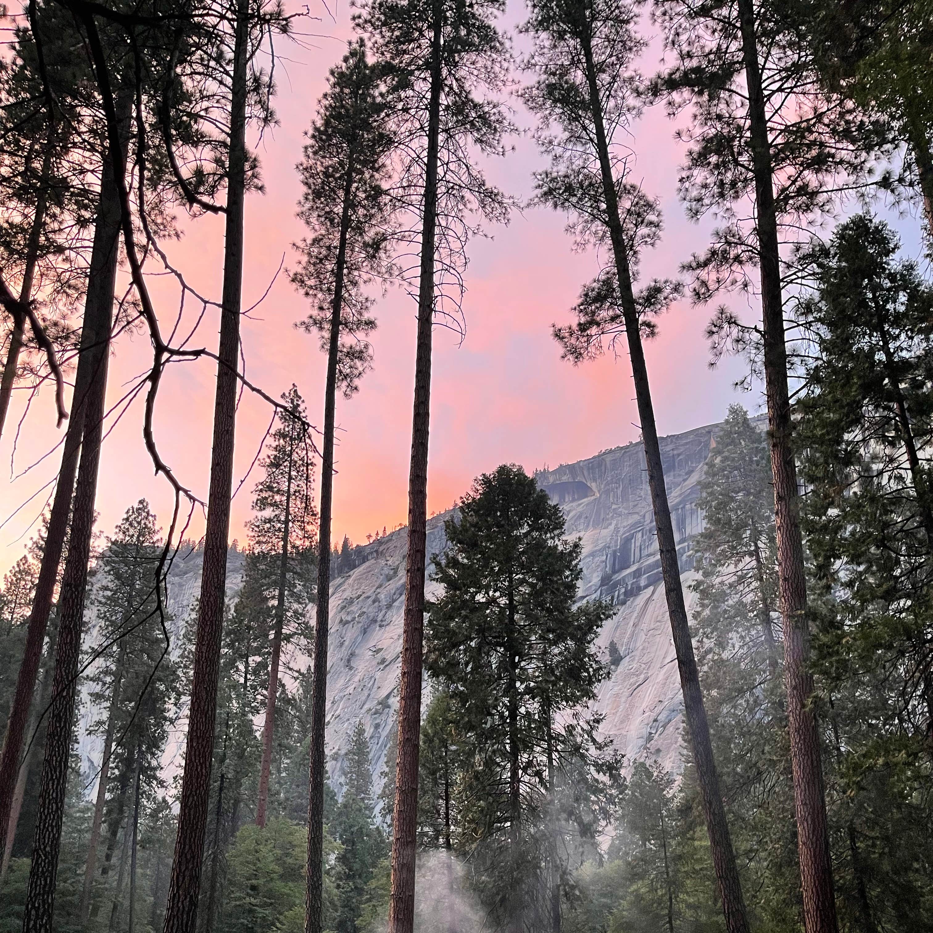 North Pines Campground — Yosemite National Park | Yosemite national ...