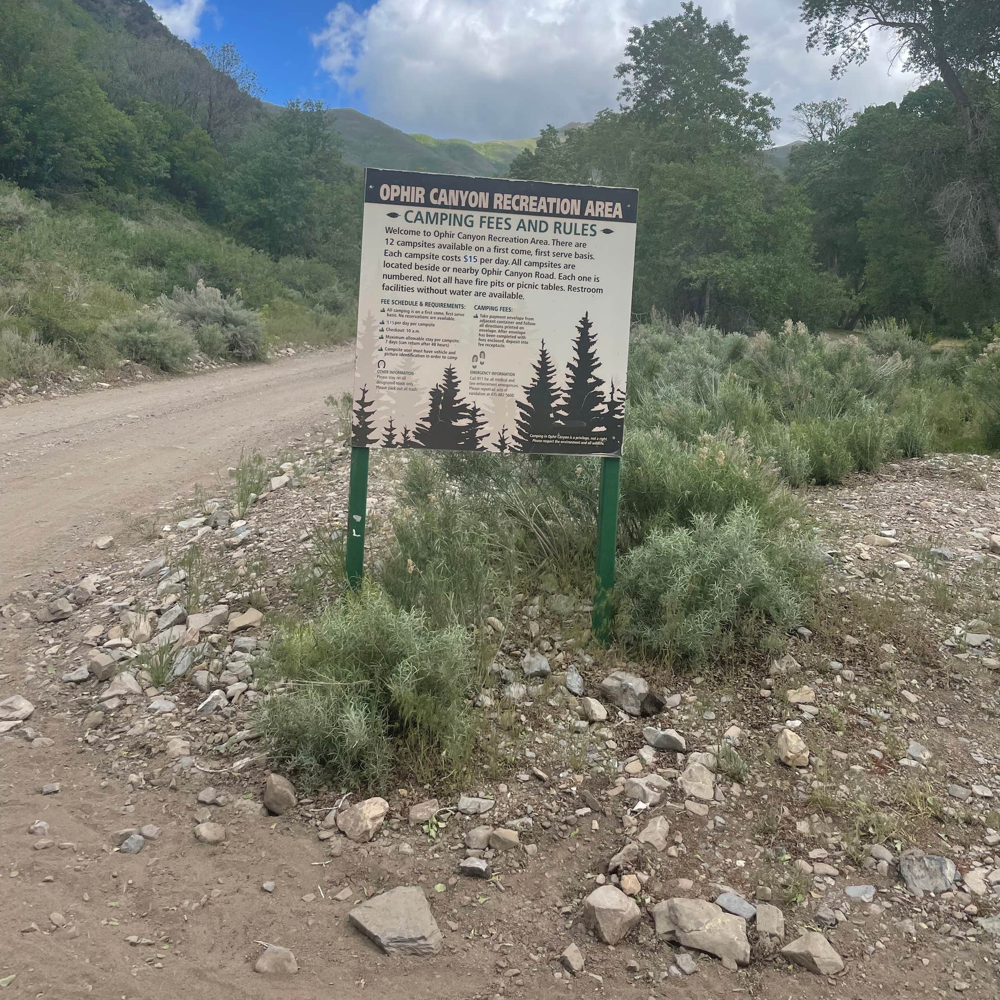 Ophir Canyon Campground Camping | The Dyrt