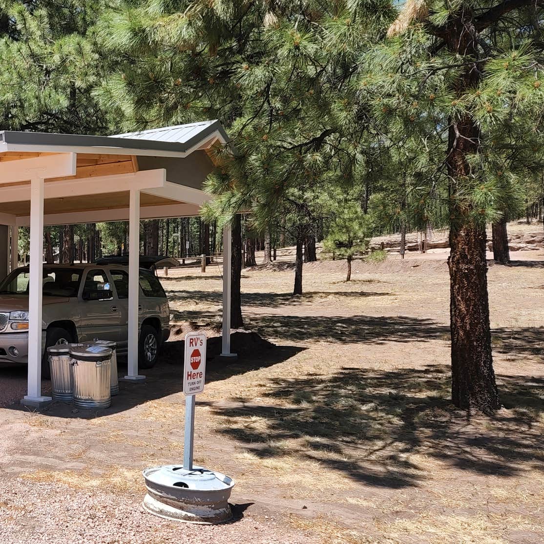 Coronado Trail RV Park 55+ | Alpine, AZ