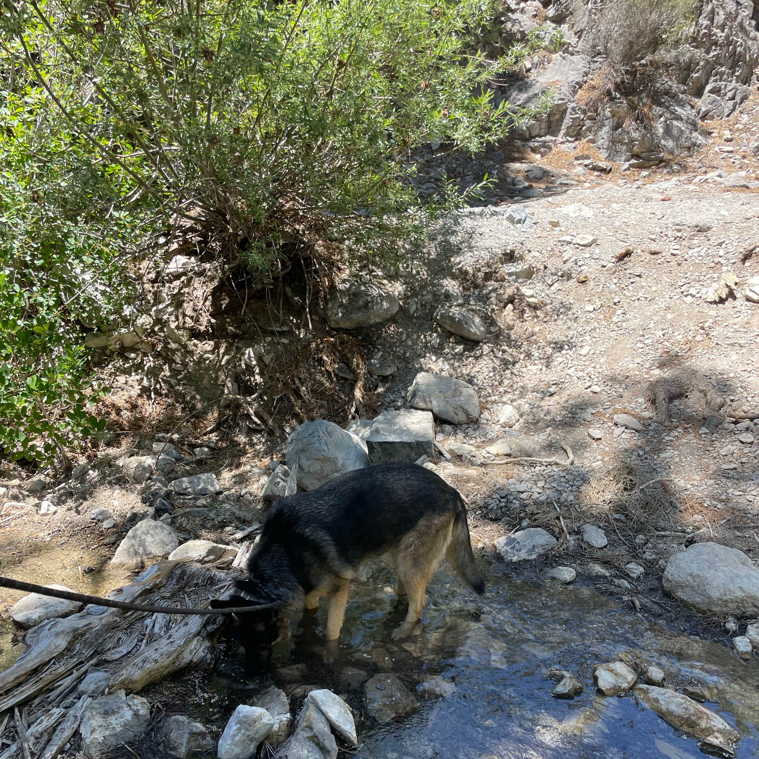 Carpenter Canyon Camping | The Dyrt