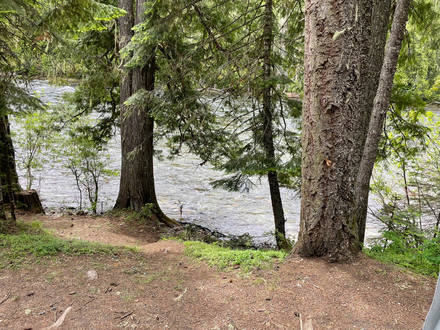 Colgate Camp Camping | The Dyrt