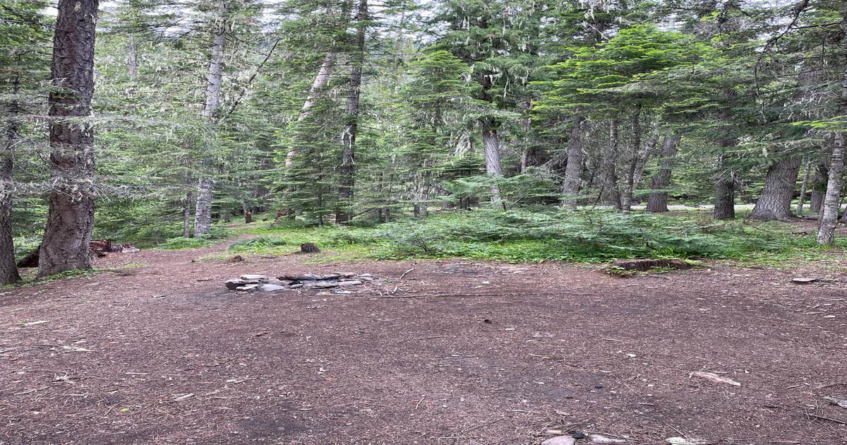 Colgate Camp Camping | The Dyrt