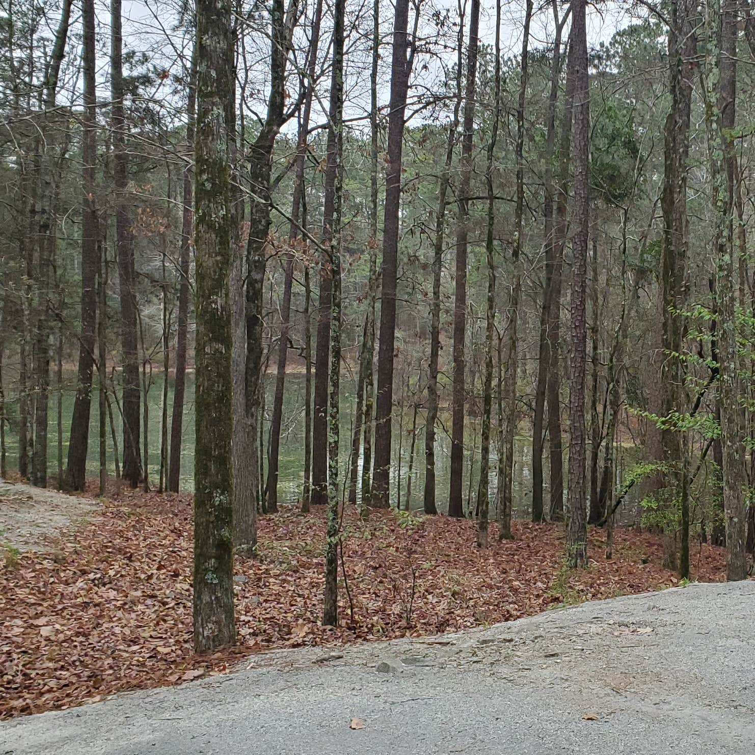 Wildwood County Park Camping | Modoc, South Carolina