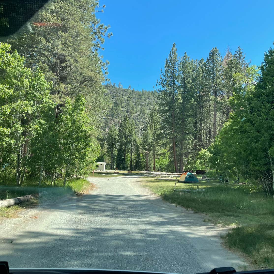 Lower Lee Vining Campground | Lee Vining, California
