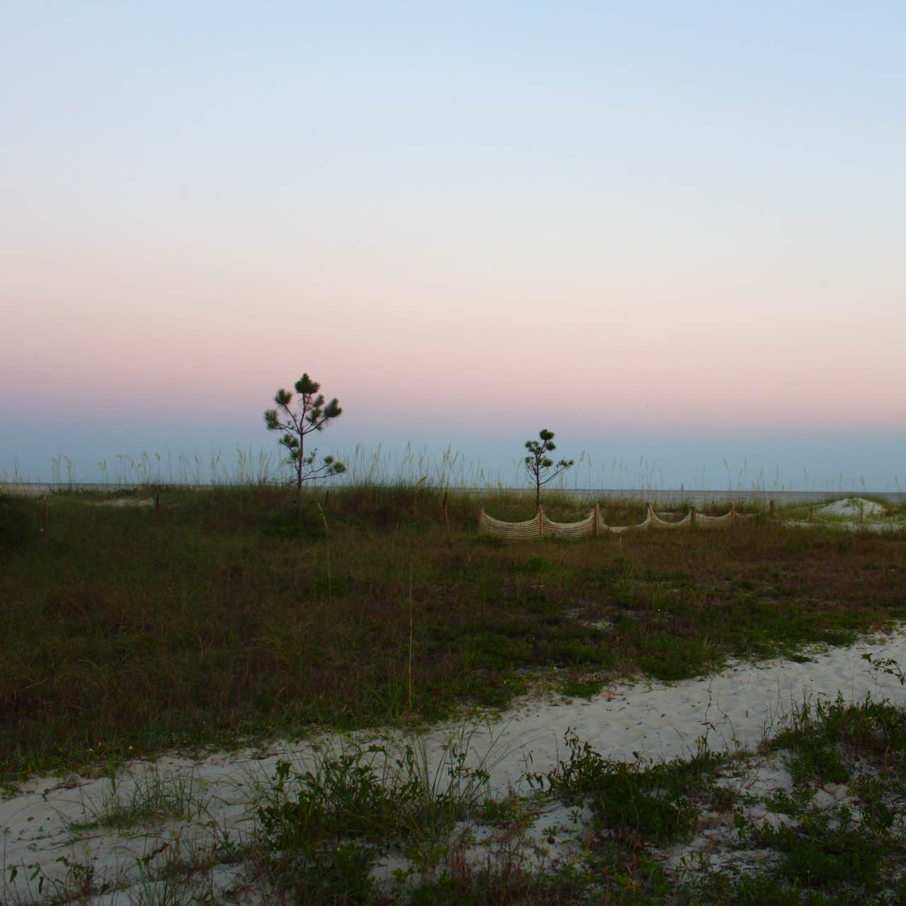 Dauphin Island Campground | Dauphin Island, Alabama