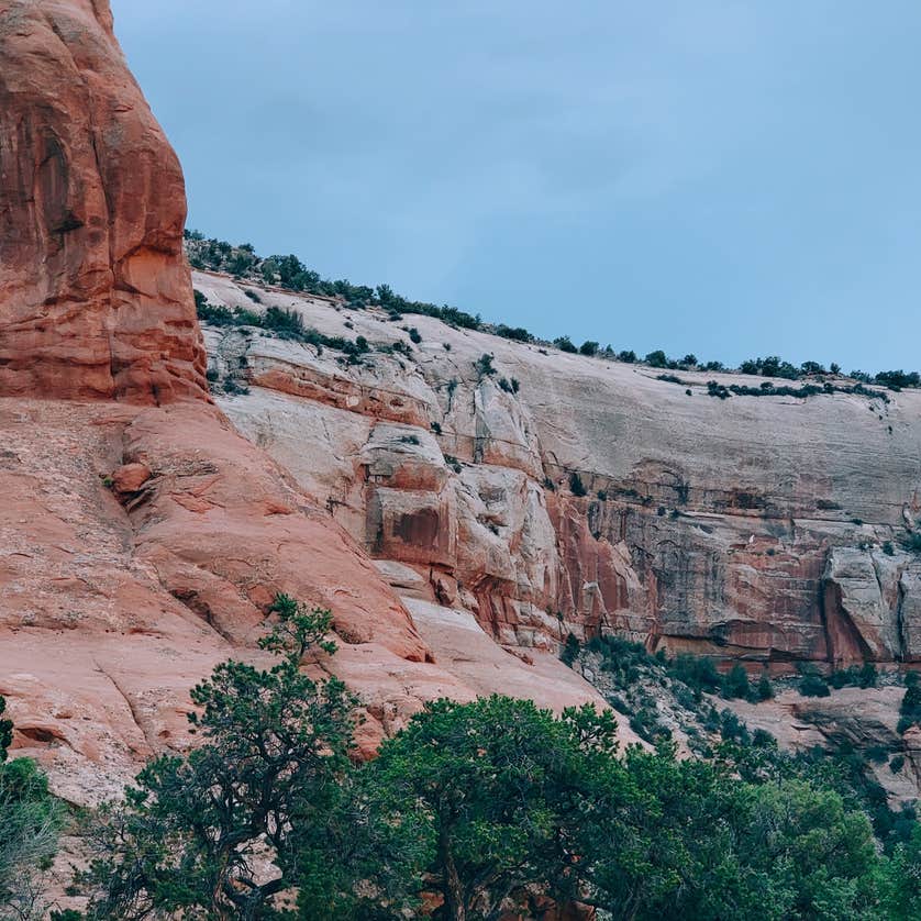 Windwhistle Campground Camping | The Dyrt