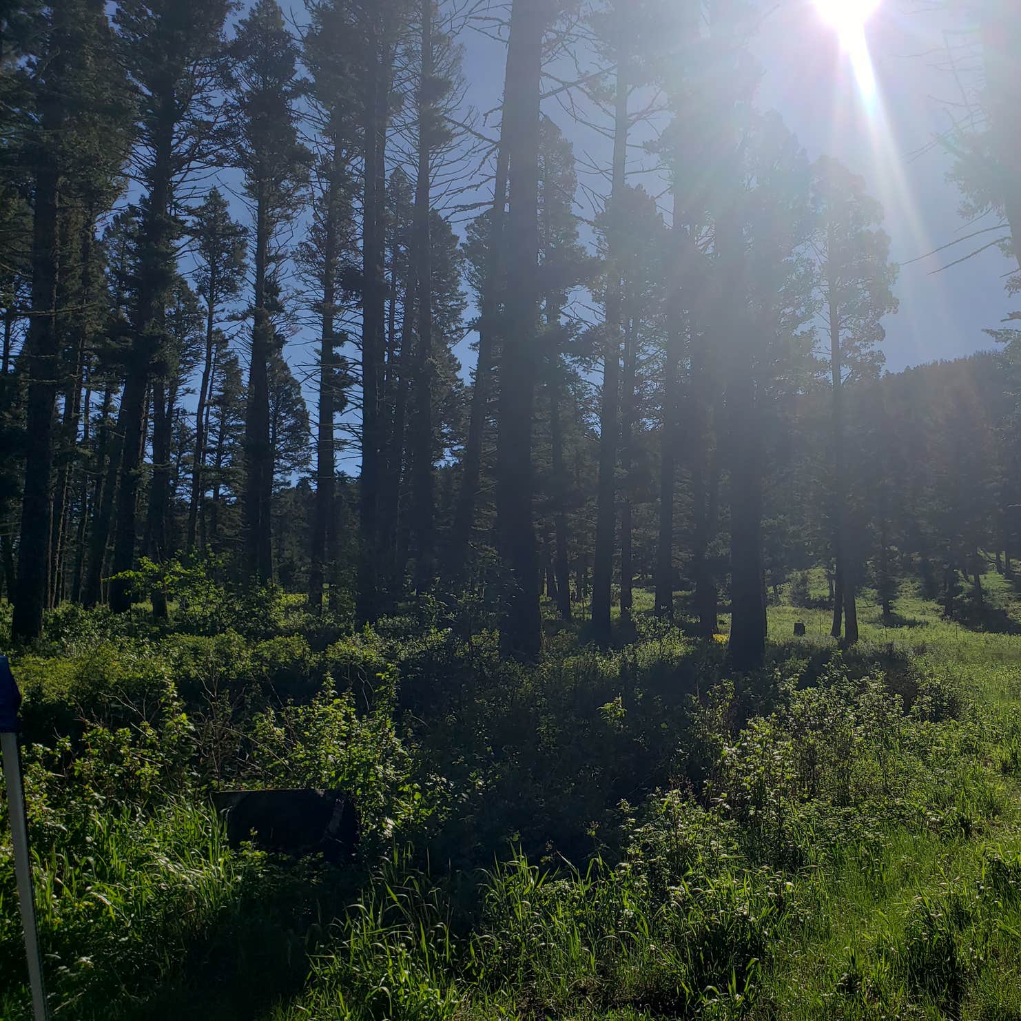Battle Ridge Campground | Bozeman, MT
