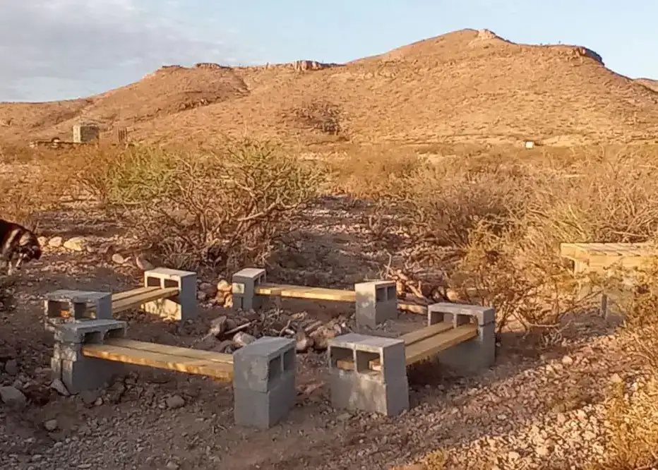 Desert Gardens Oasis at Lobo, Texas Camping | The Dyrt