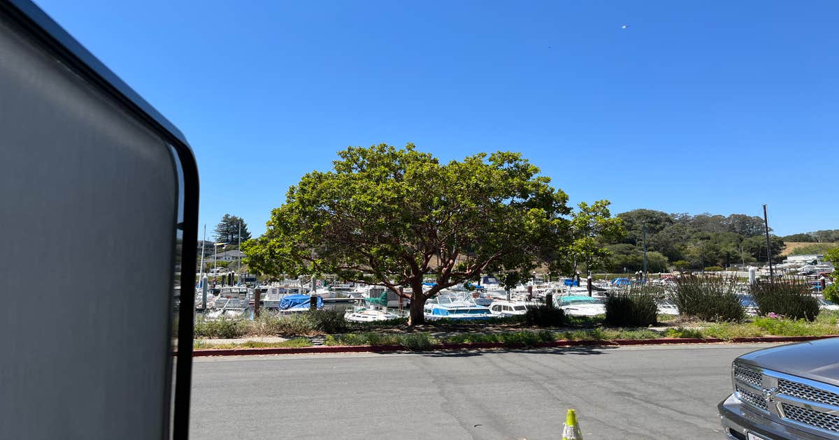 Santa Cruz Harbor Camping | Santa Cruz, CA