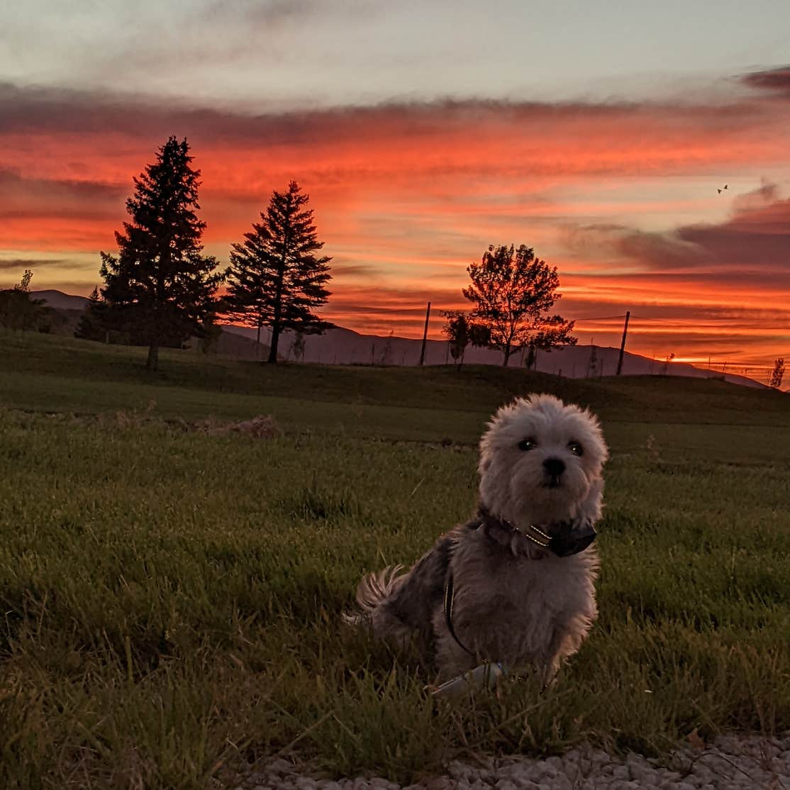 Gladstan Golf Course & RV park | Elk Ridge, Utah