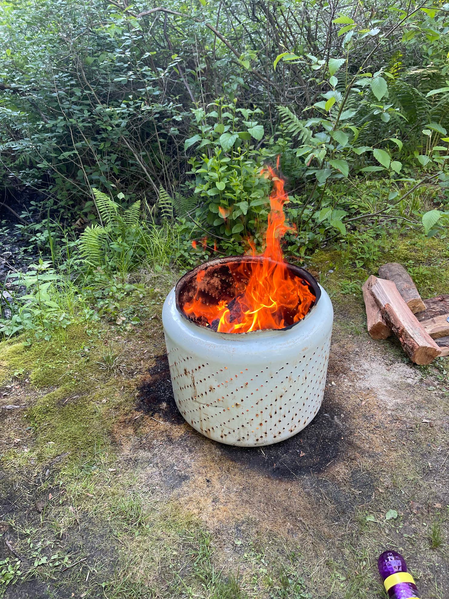 Paradise Park Resort Camping | The Dyrt