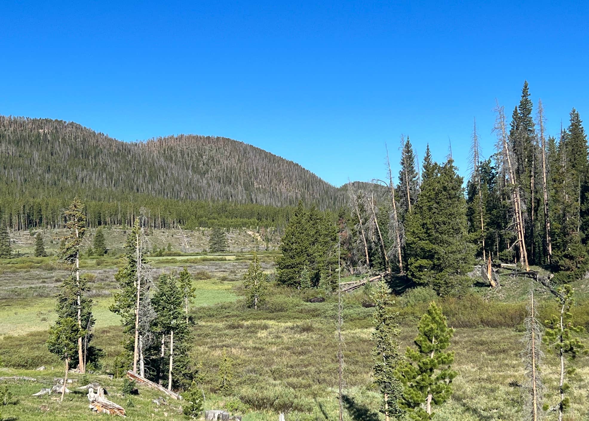 Ranger Lakes Campground - State Forest State Park Camping | The Dyrt