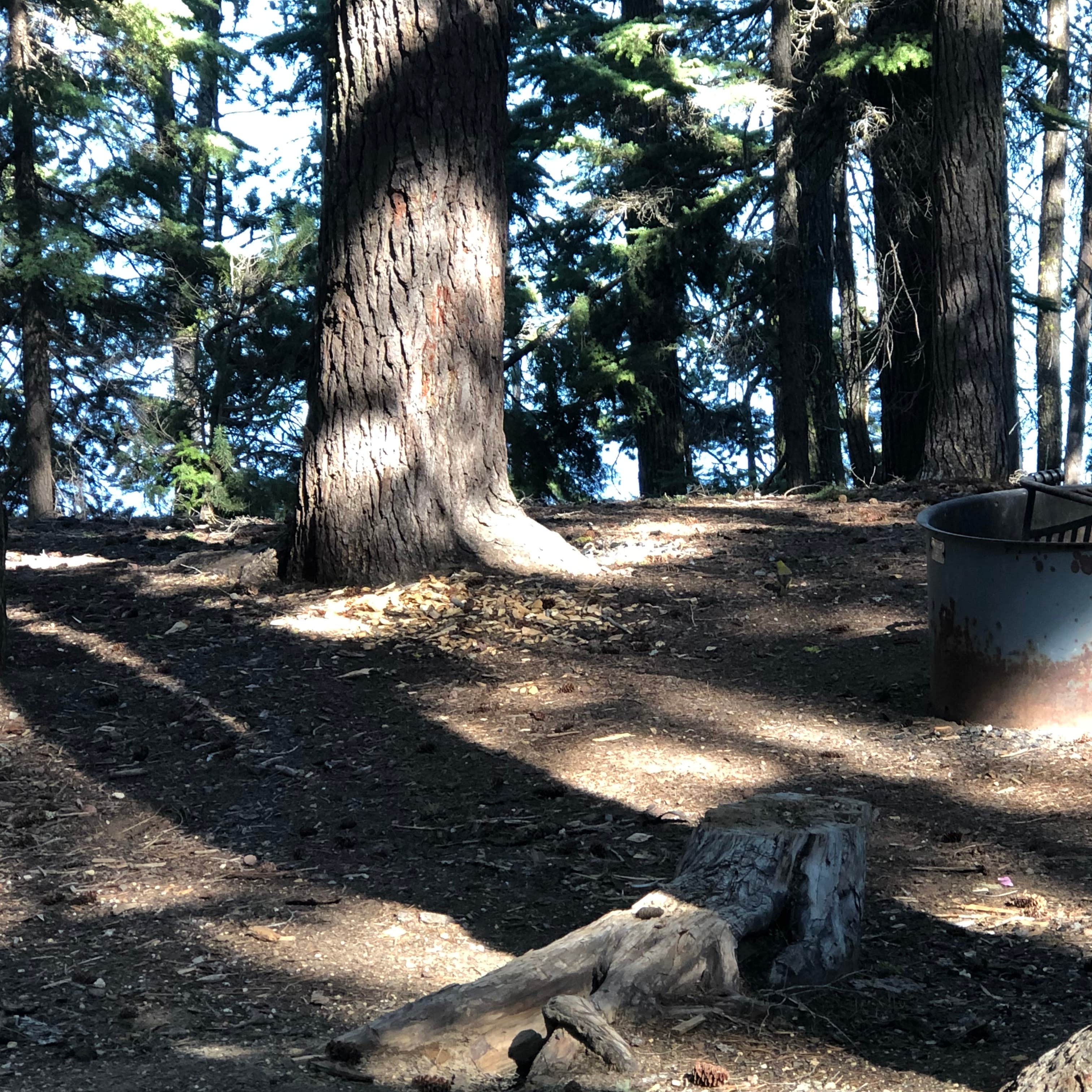 Digit Point Campground | Chemult, Oregon