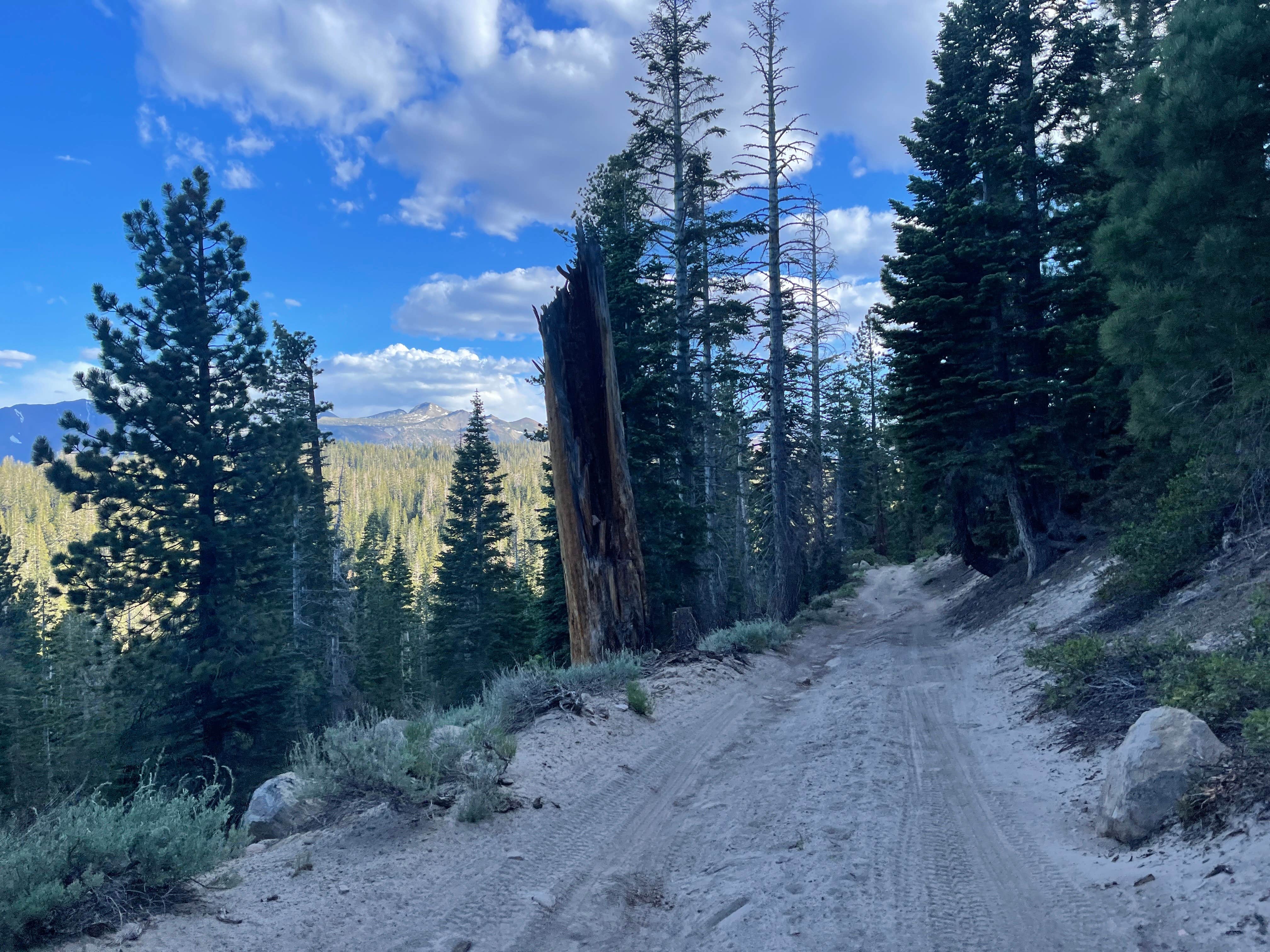 Scenic Loop - Dispersed Camping | Mammoth Lakes, CA