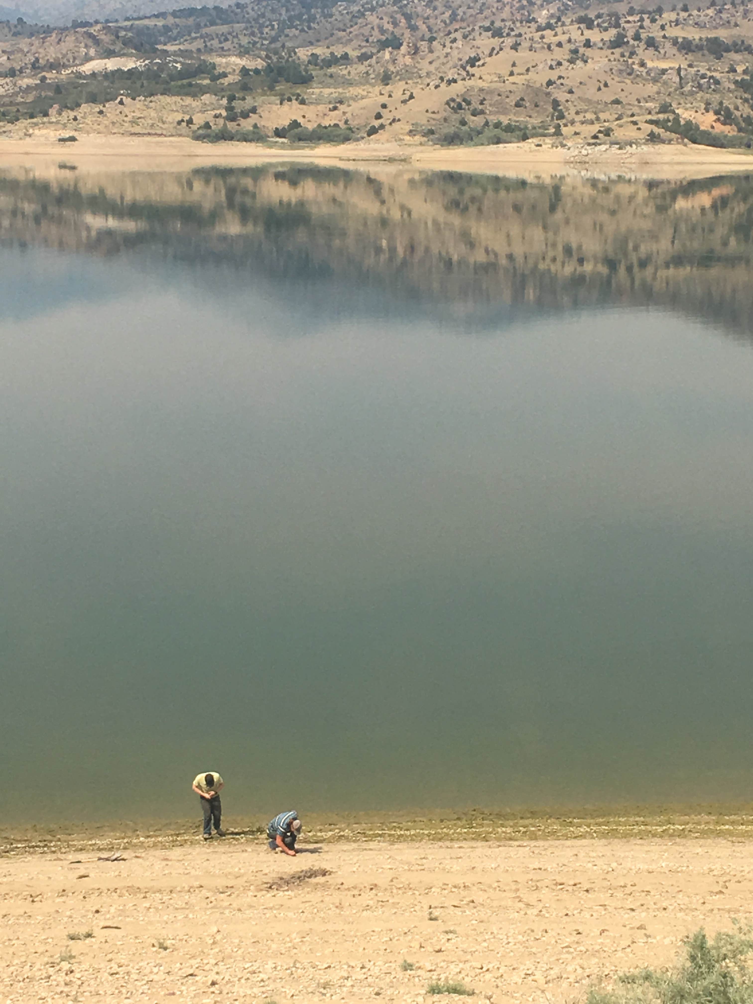 Ruby Reservoir Recreation Area Camping | Virginia City, Montana