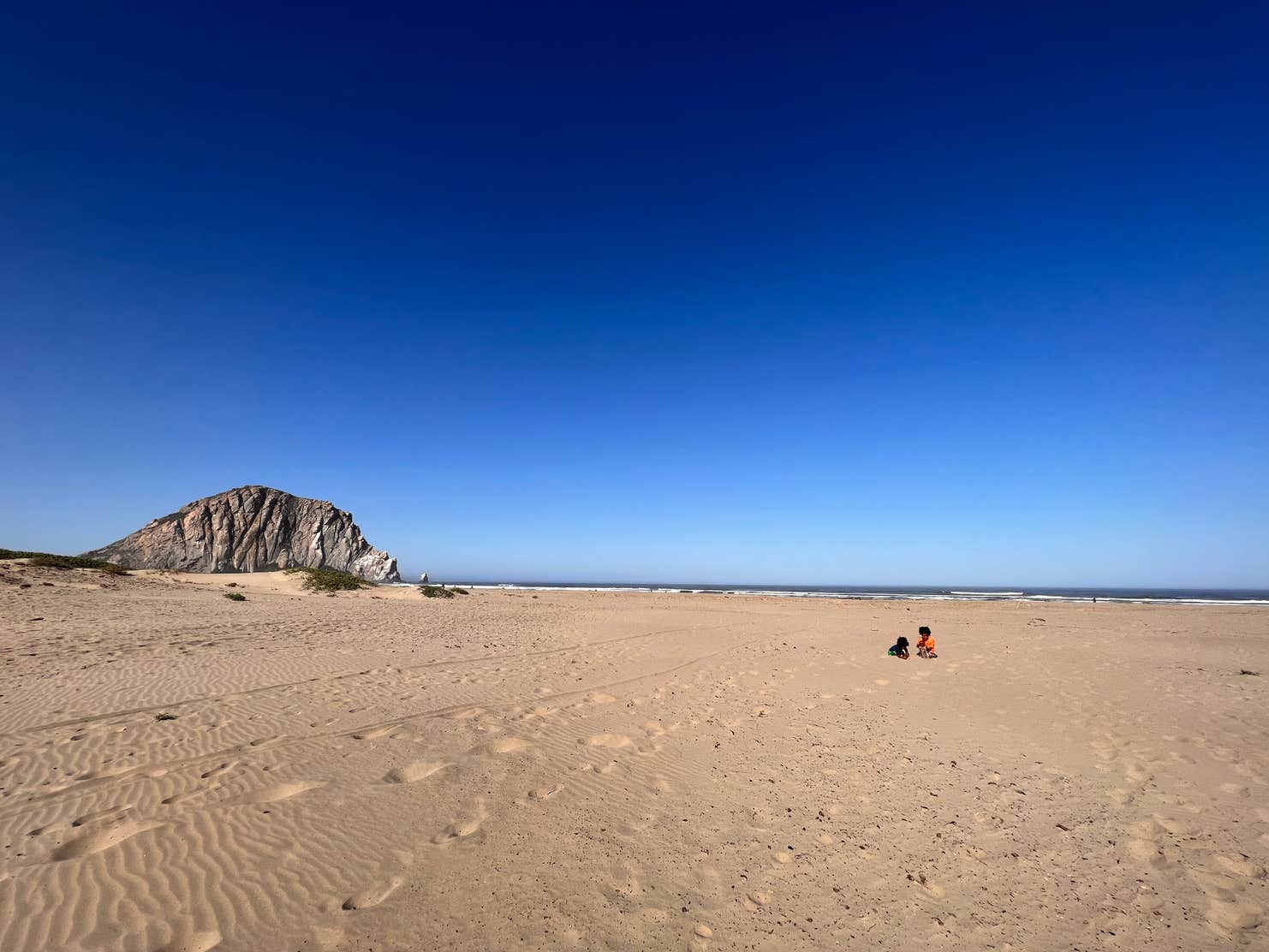 Morro Strand RV Park | Morro Bay, CA