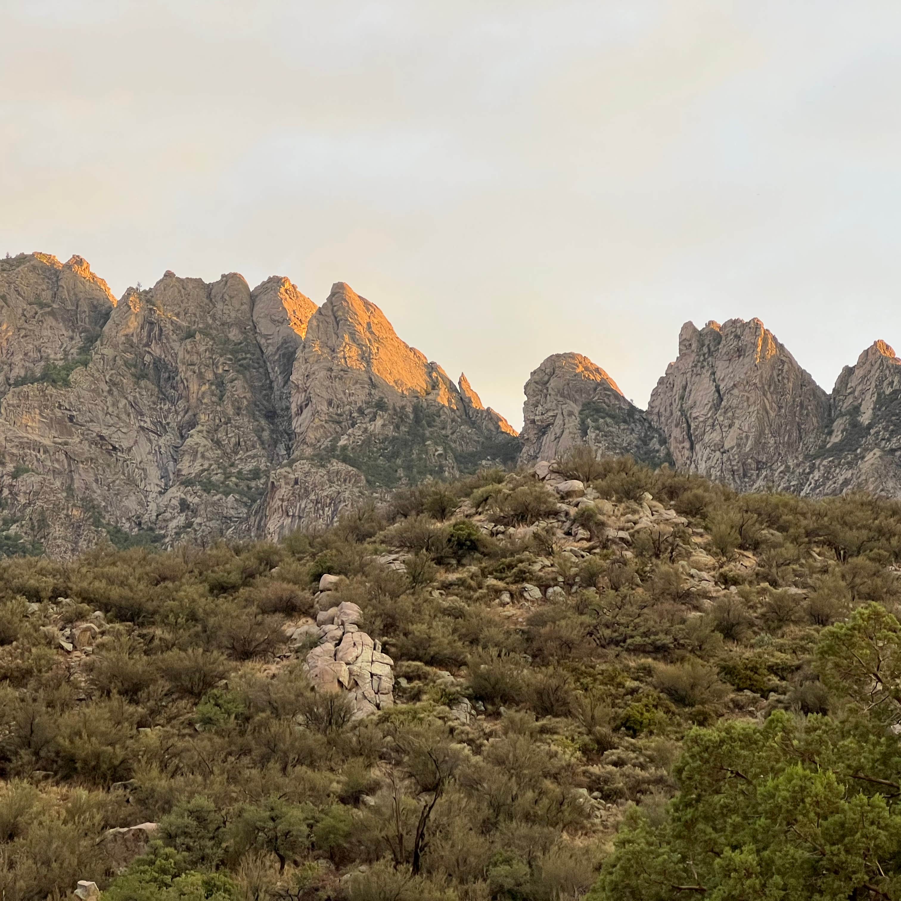 Aguirre Spring Recreation Area and Campground Camping | The Dyrt