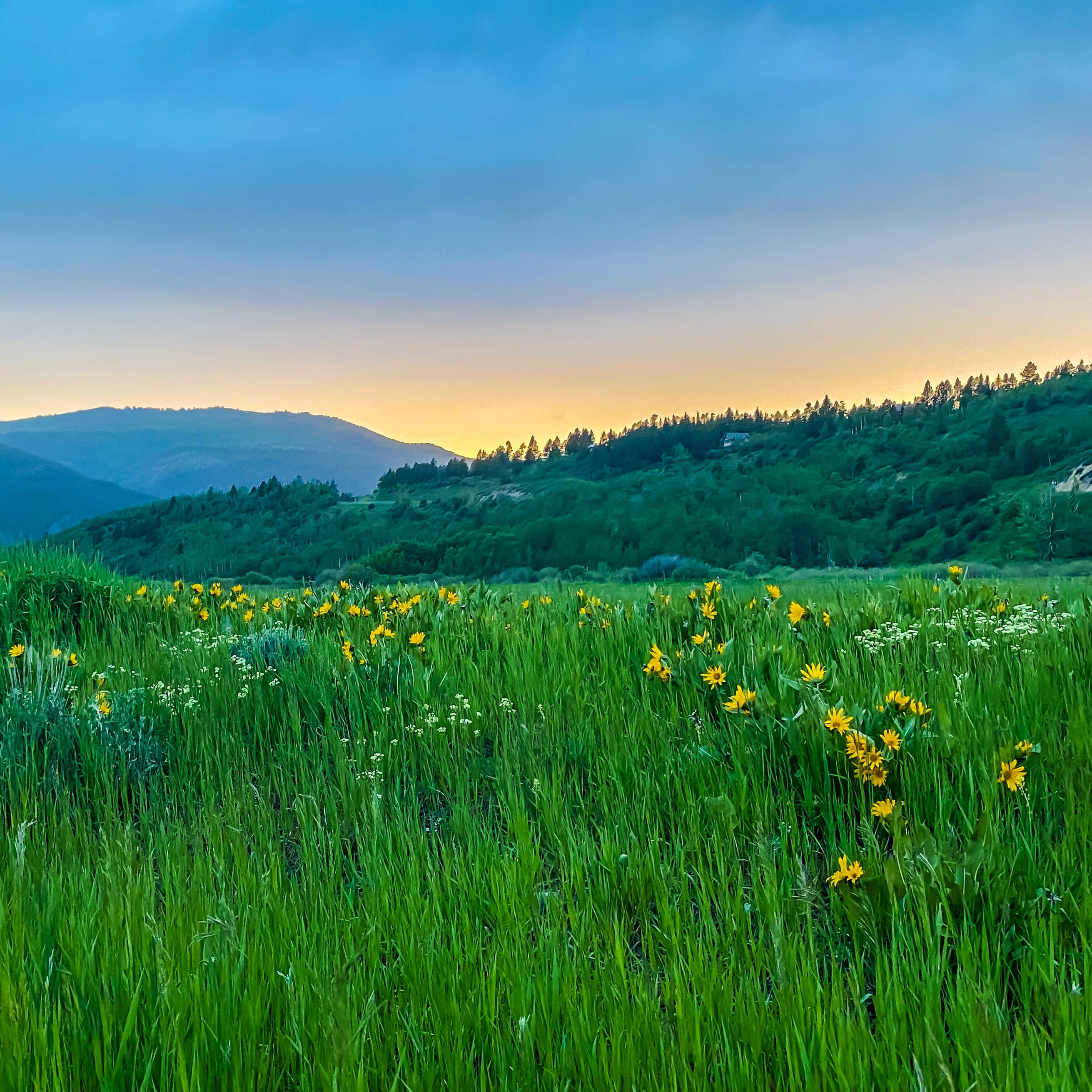 Palisades Reservoir Camping | Alpine, Wyoming