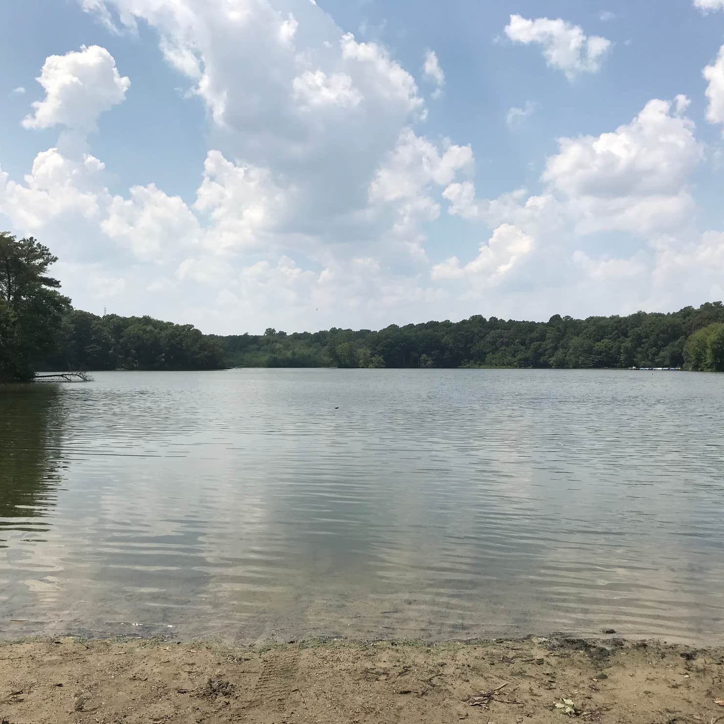 Killens Pond State Park Camping | The Dyrt