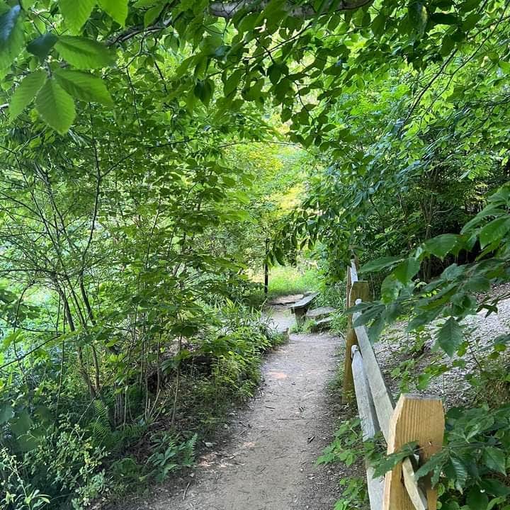 Buffalo Ridge Campground — Brown County State Park | Nashville, Indiana