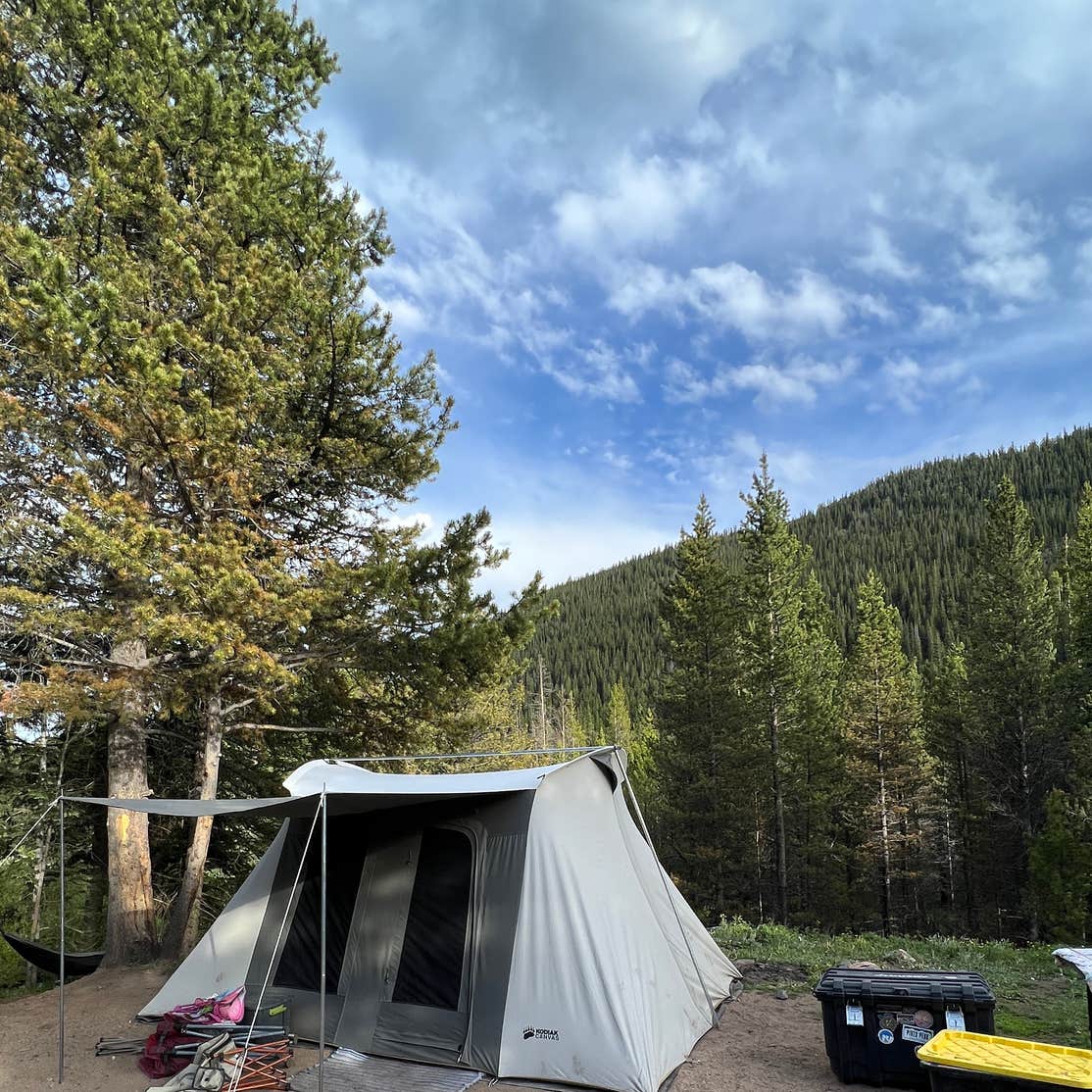 Pike National Forest Handcart Campground | Jefferson, Colorado