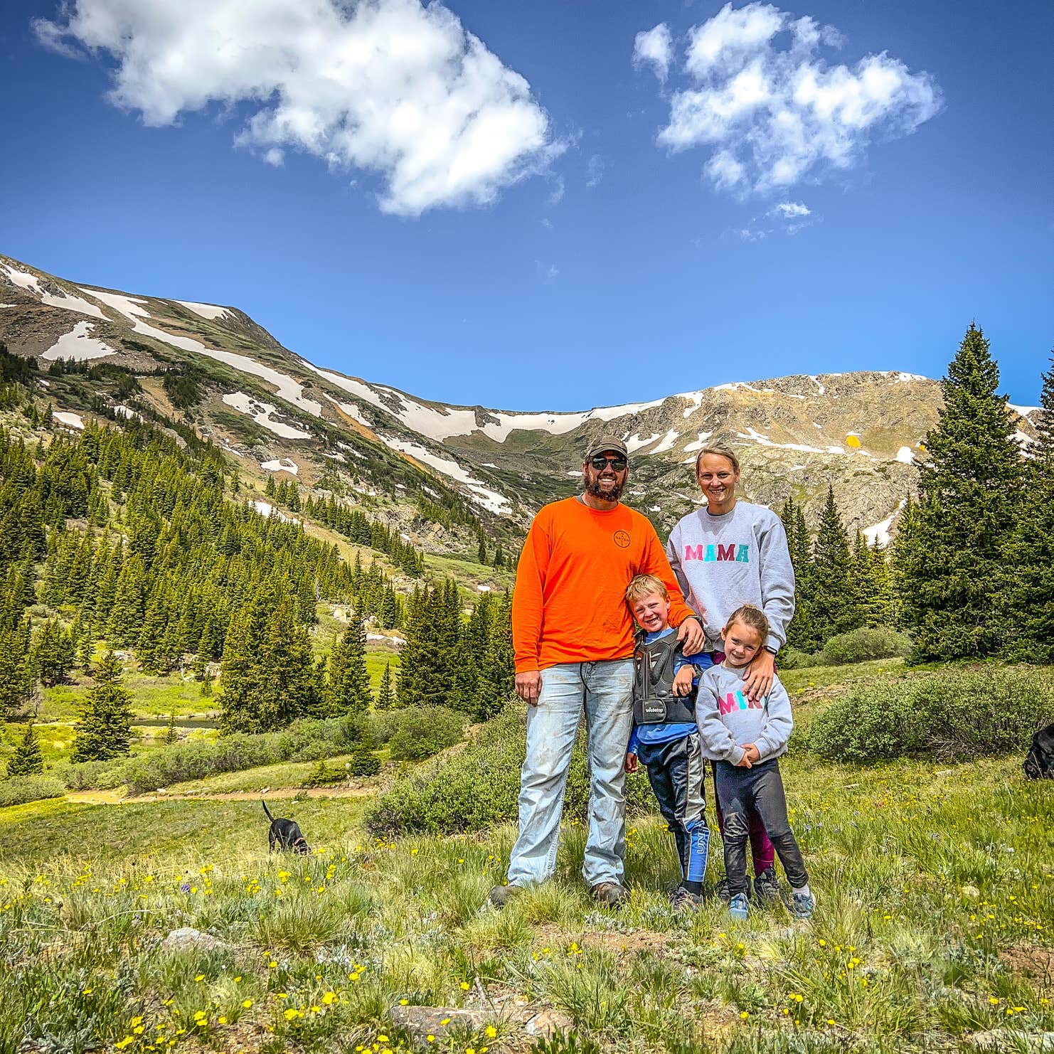 Pike National Forest Handcart Campground Camping | The Dyrt