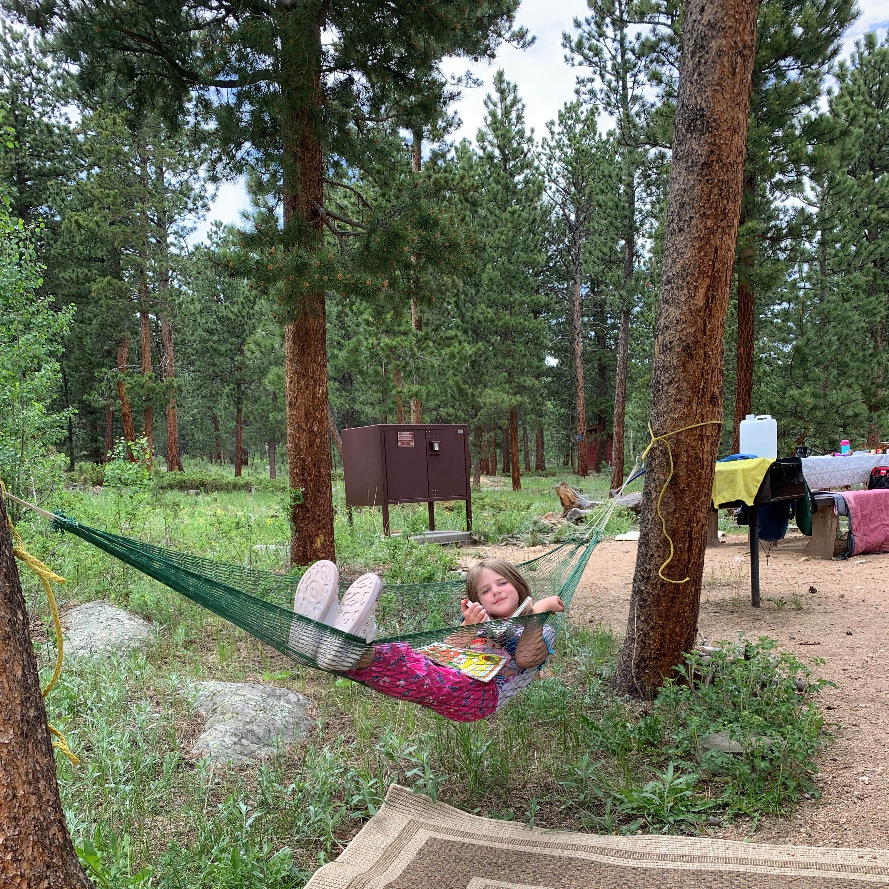 Olive Ridge Camping | Allenspark, CO