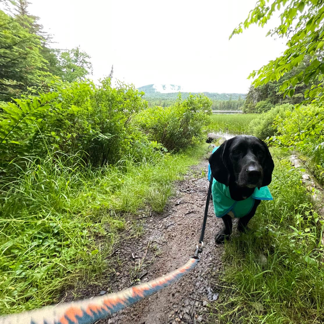 Lake Durant Campground | Indian Lake, NY